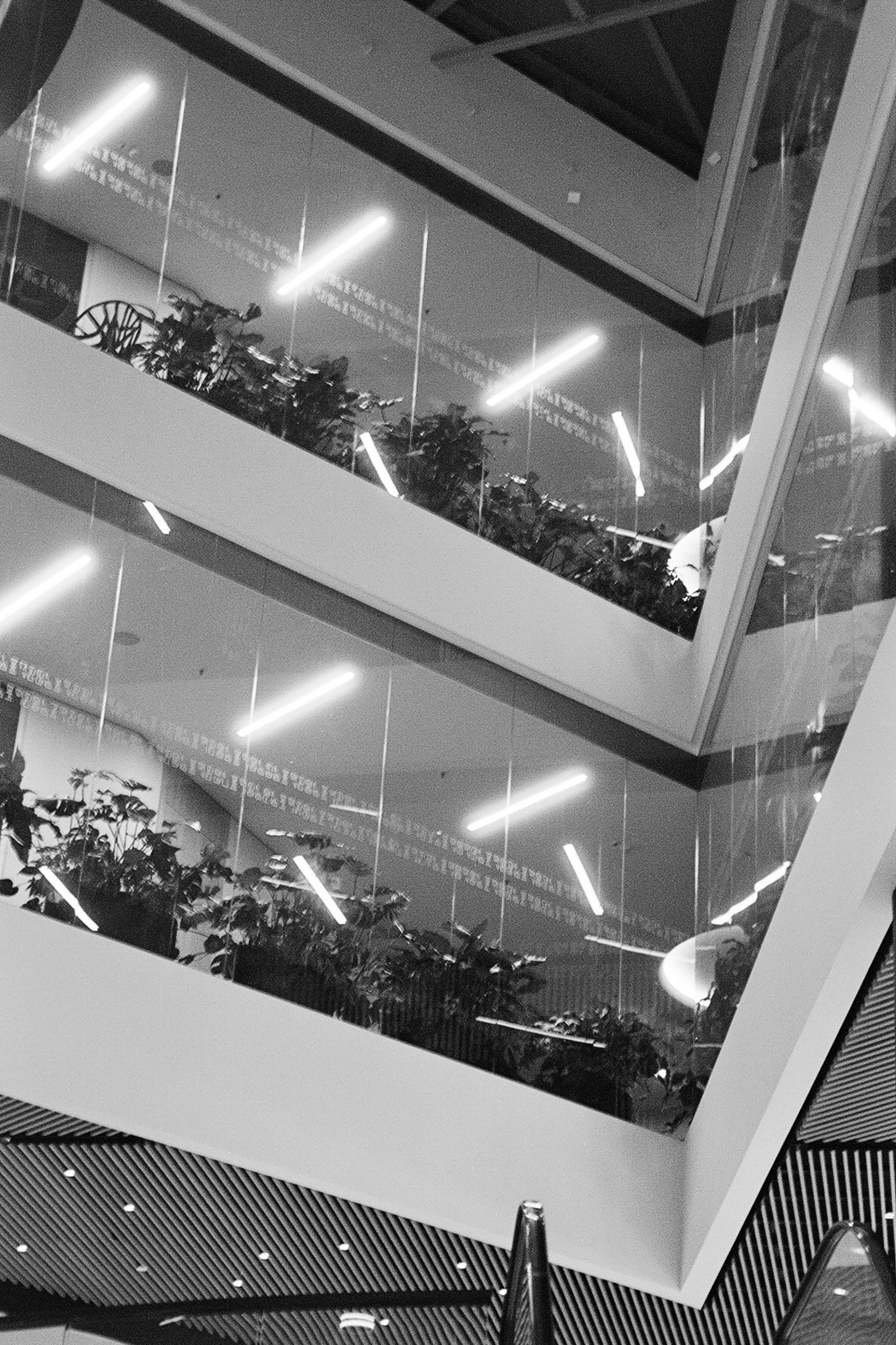 A black and white photo of a building's atrium photo – Free Grey Image ...