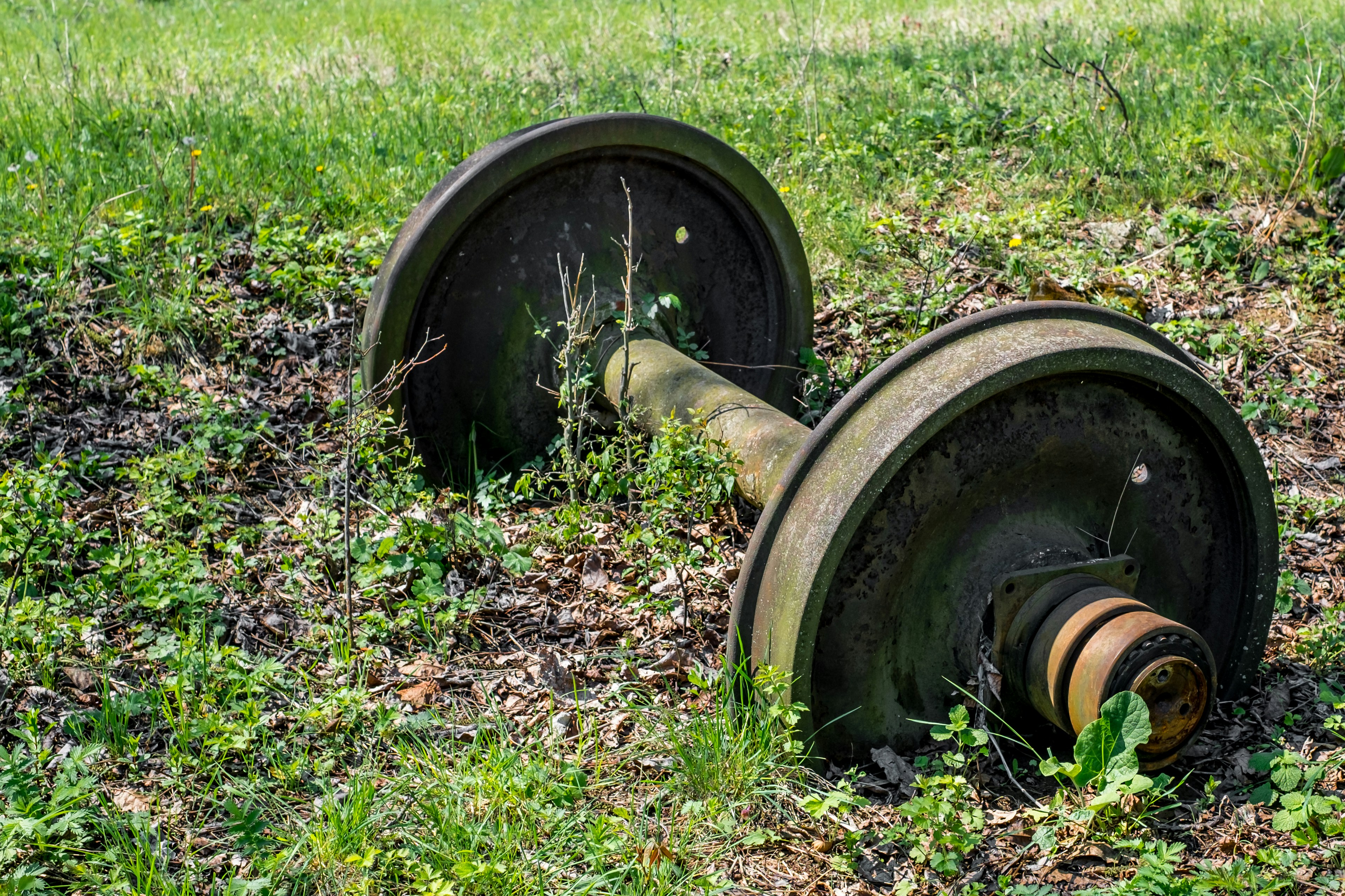 A weathered train axle lies half-buried in grass and leaves, surrounded by small plants and nature reclaiming its space.