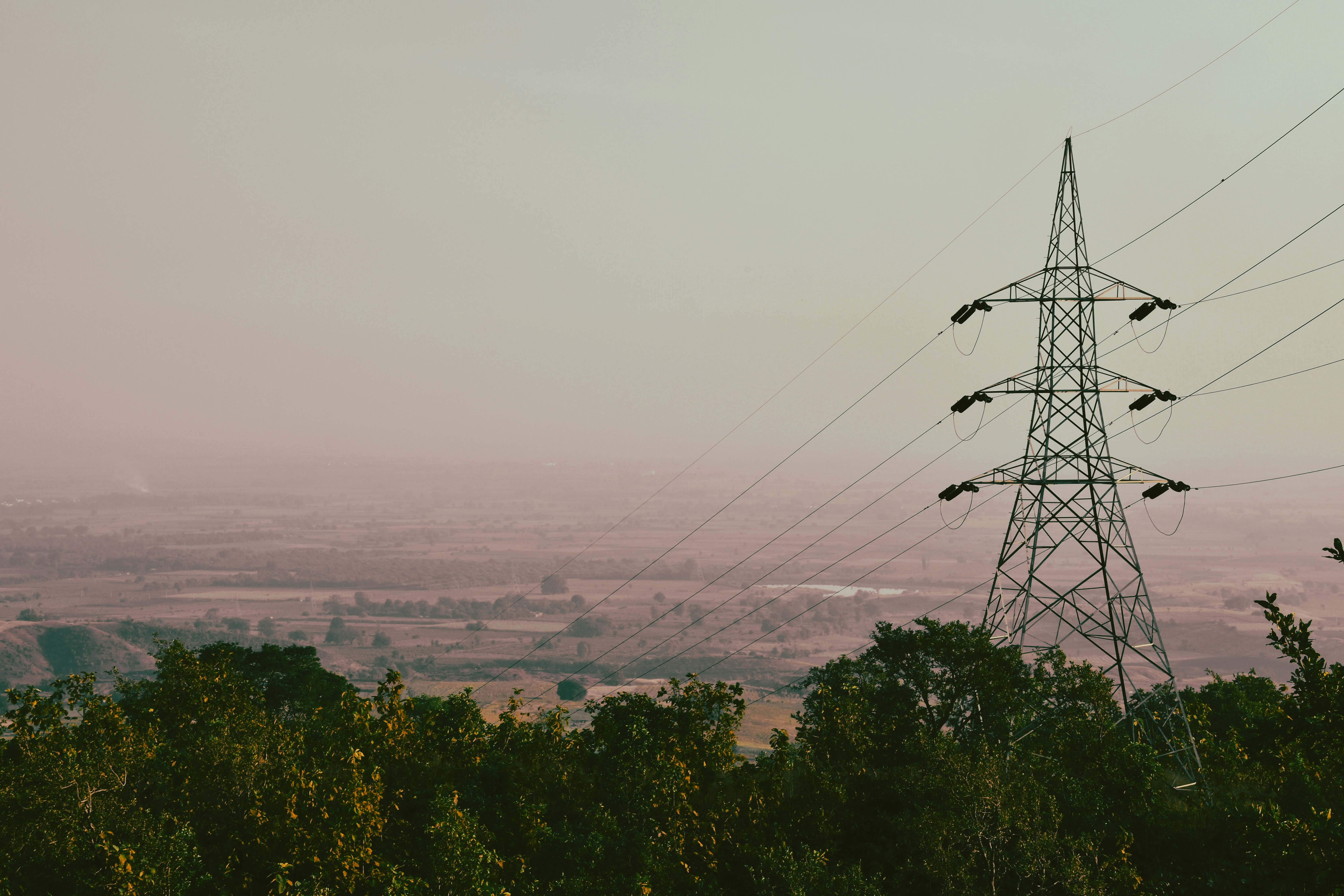 Veins of Power: The Silent Sentinels