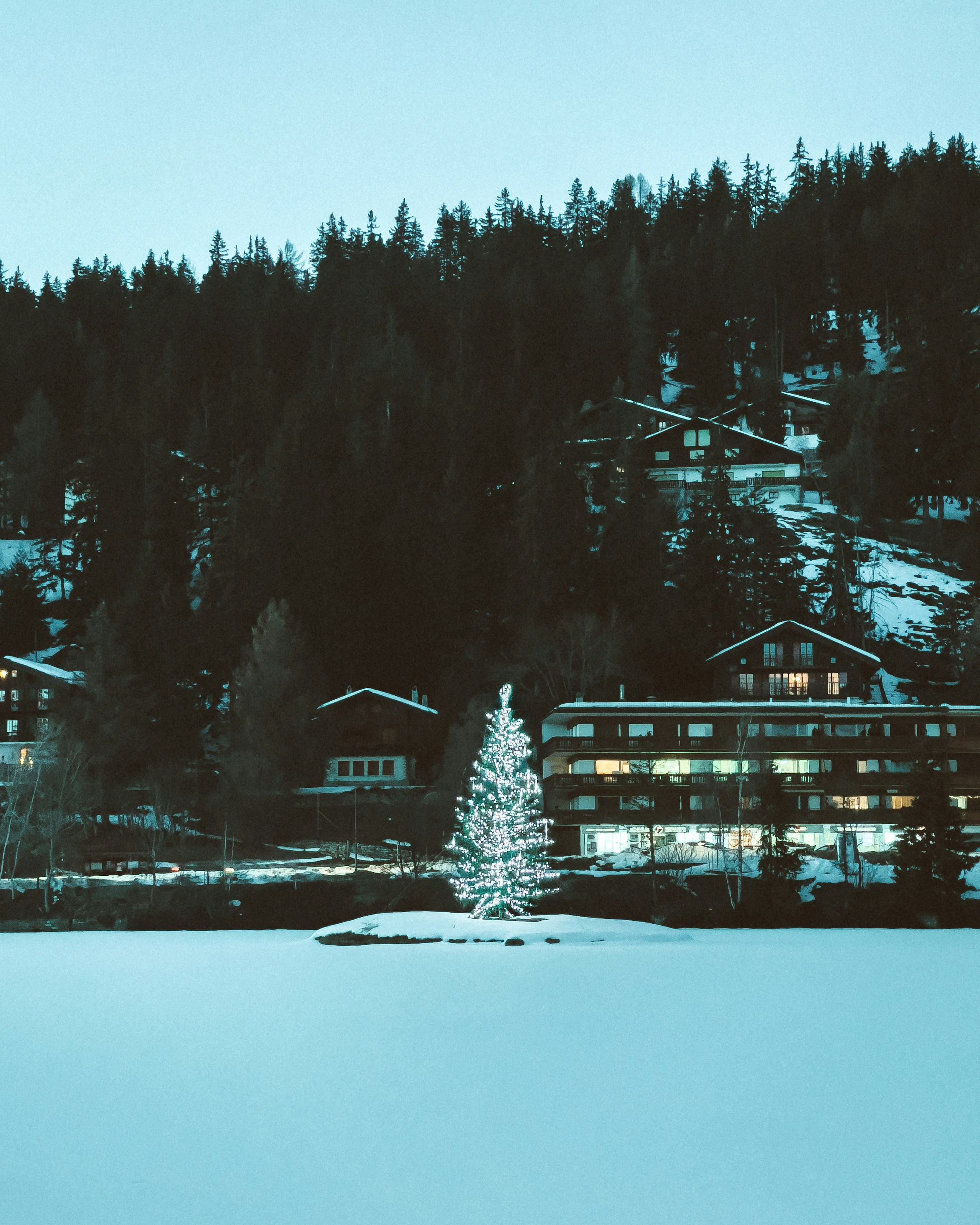 Un sapin de Noël illuminé au milieu d’un champ enneigé photo – Photo ...