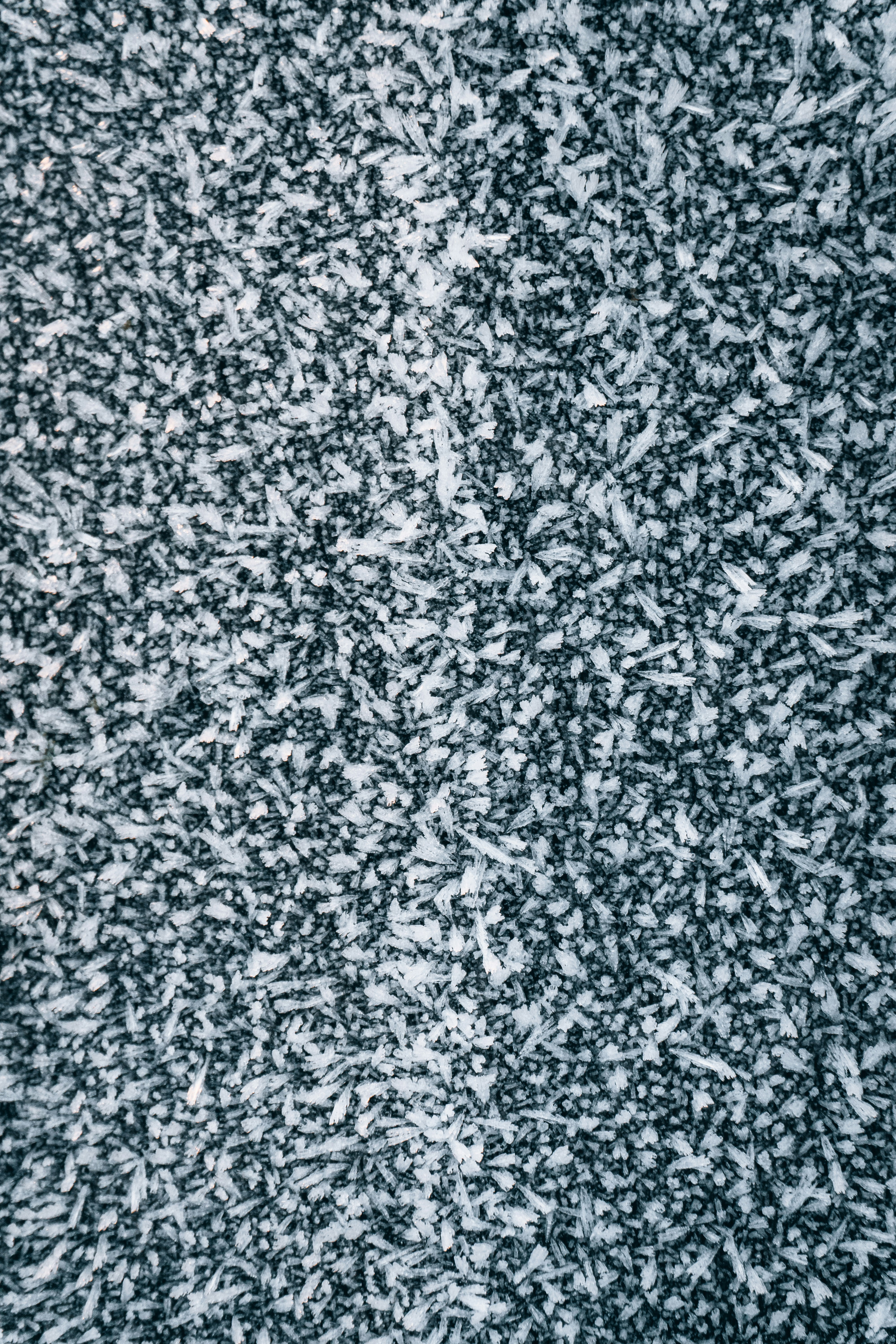 Icy Frost Mosaic: Close-up of Feathery Crystal Patterns on a Frozen Surface