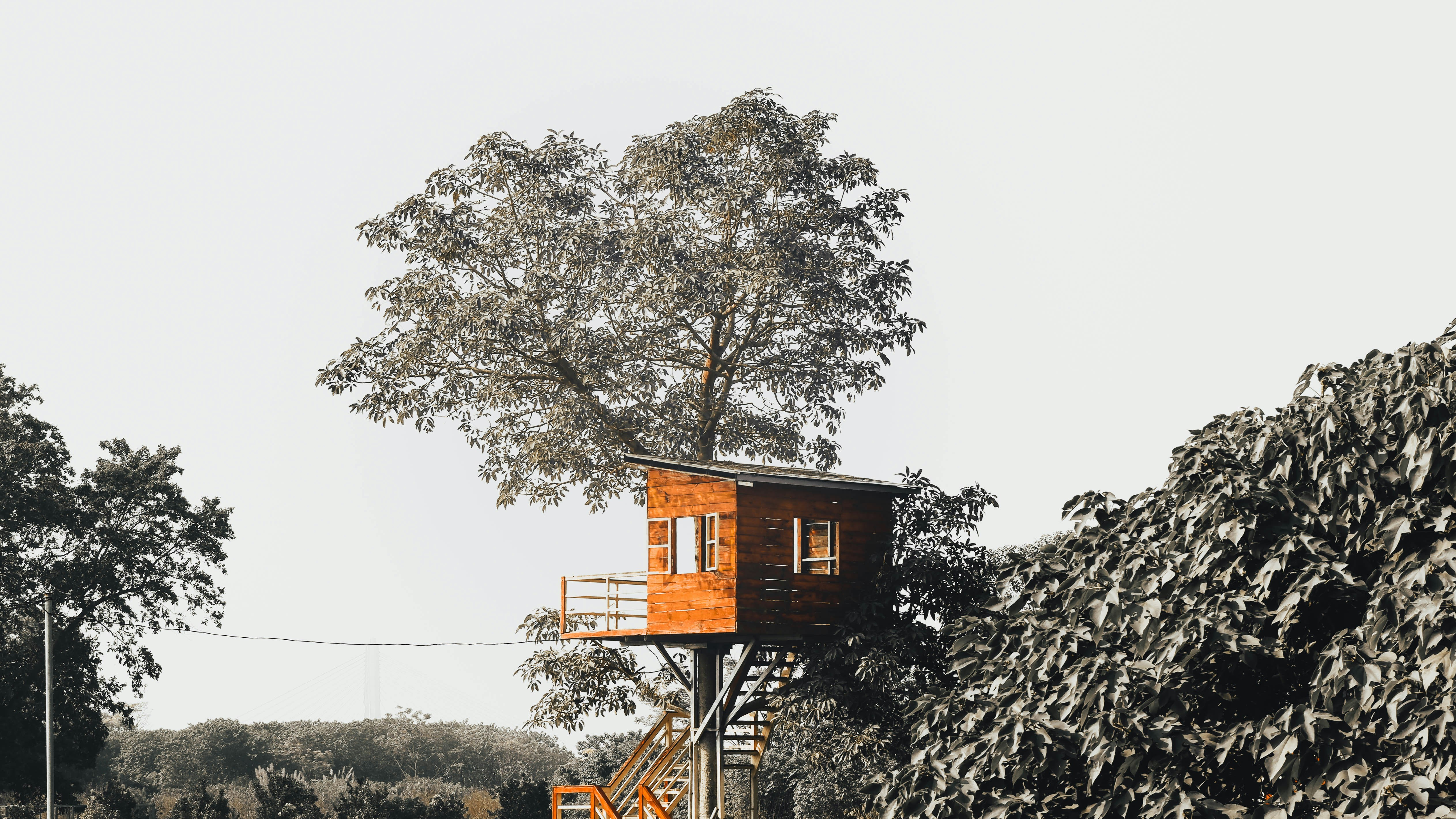 a tree house in the middle of a field