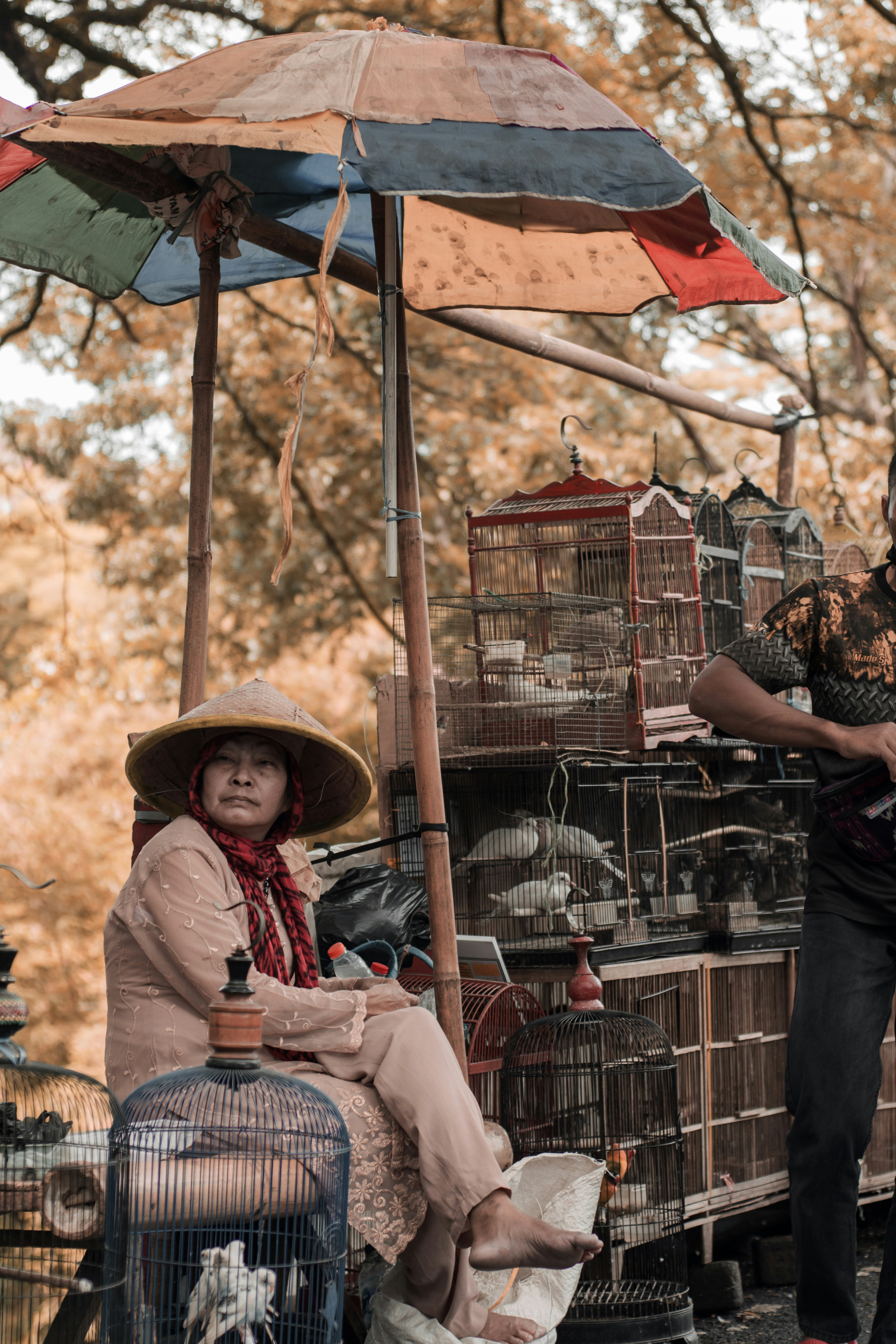 Under the Patchwork Umbrella: A Quiet Vendor Moment Amid Bird Cages