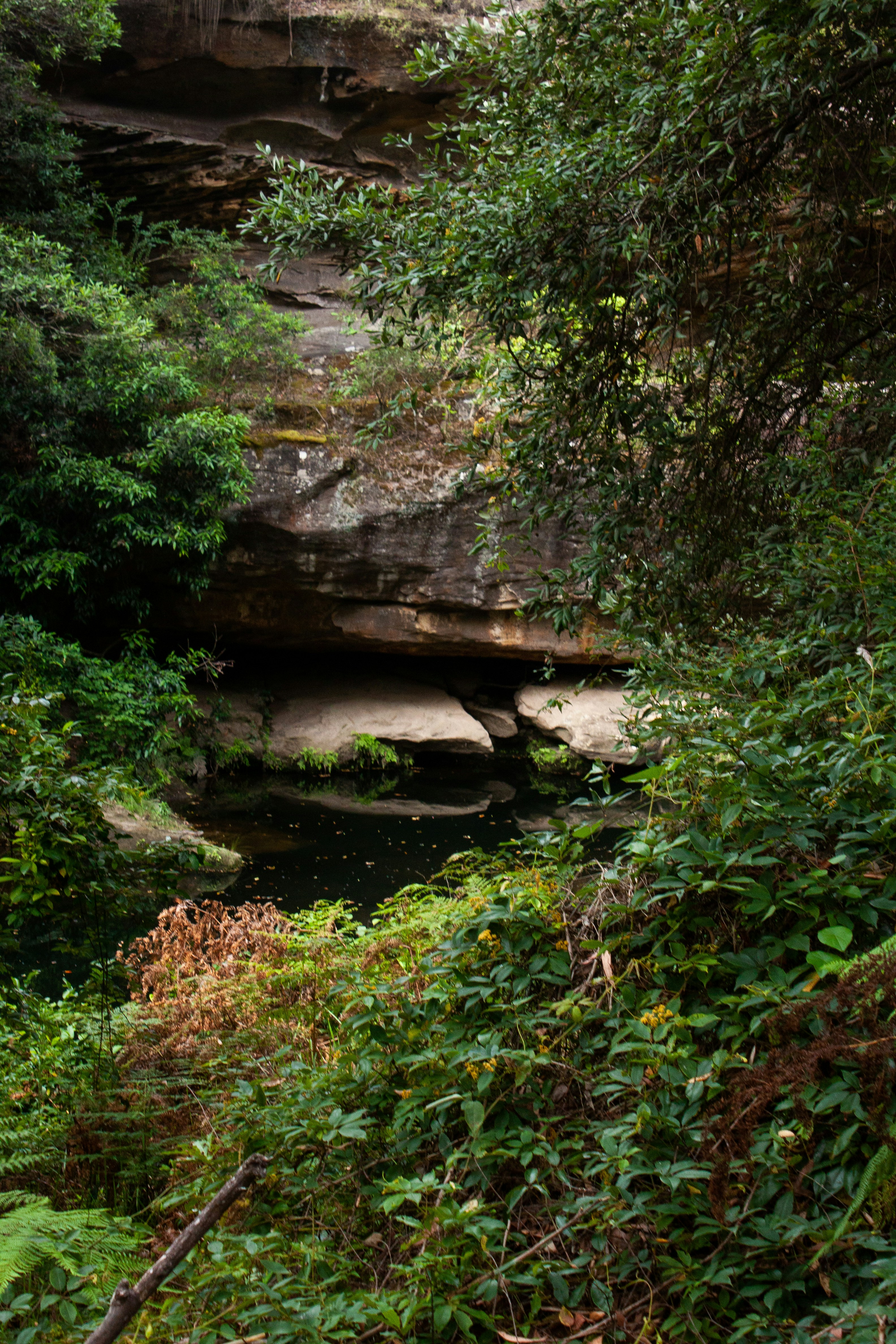 Lush greenery surrounds a secluded water body nestled beneath rocky overhangs. The scene evokes a sense of tranquility and mystery.