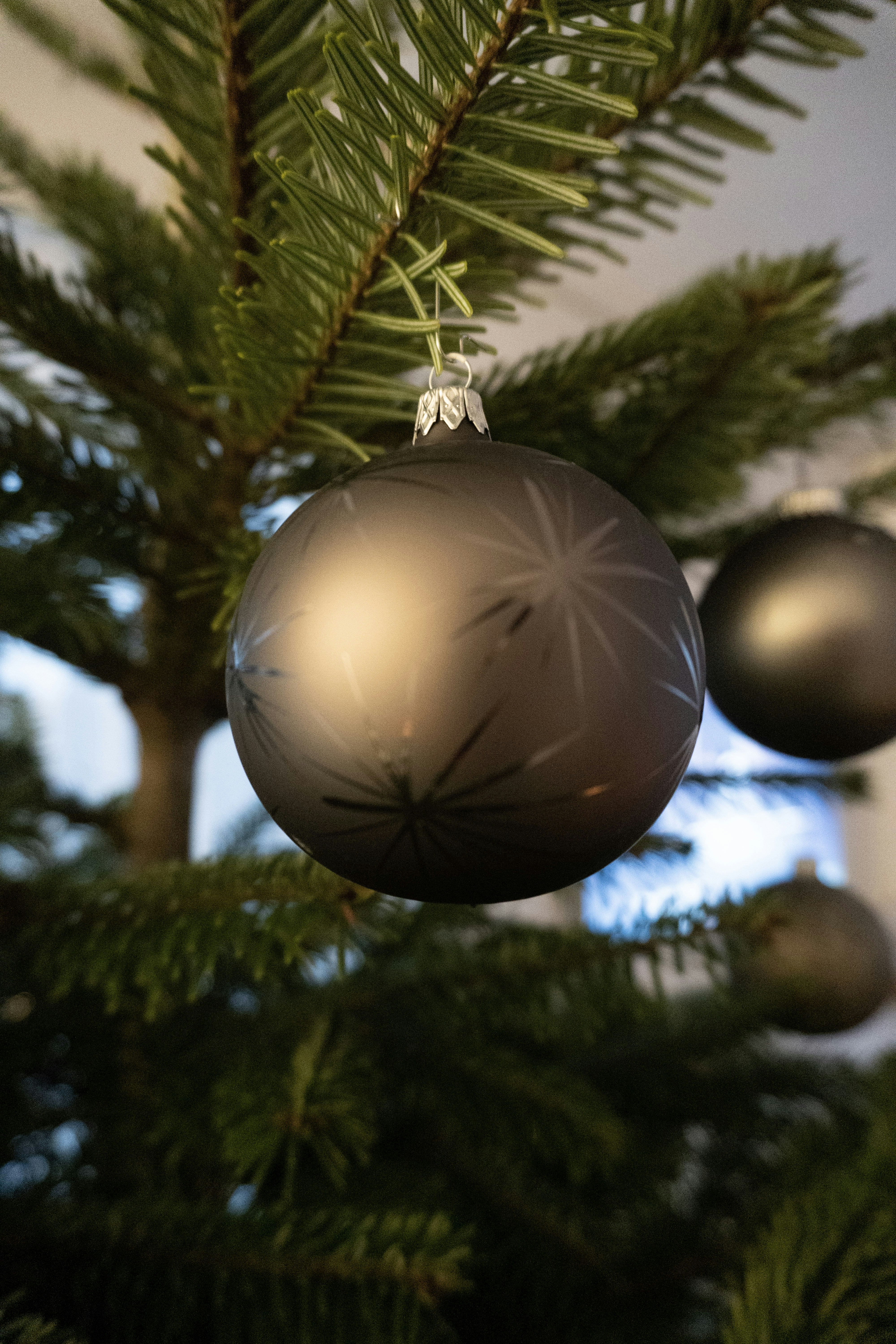 Muted Christmas Orb Adorned by Branches