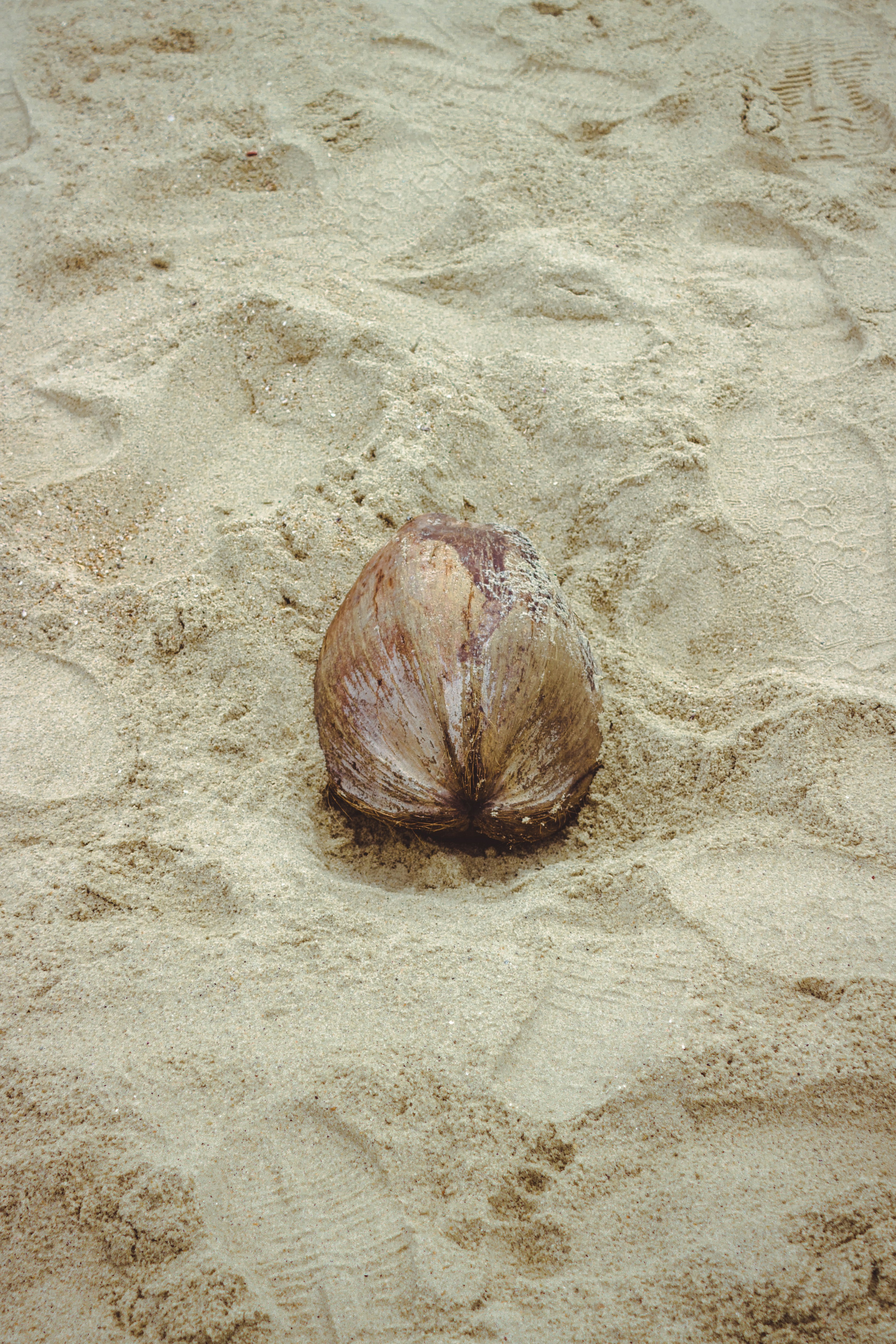 Photo by Ainur Iman with Canon EOS 3000D