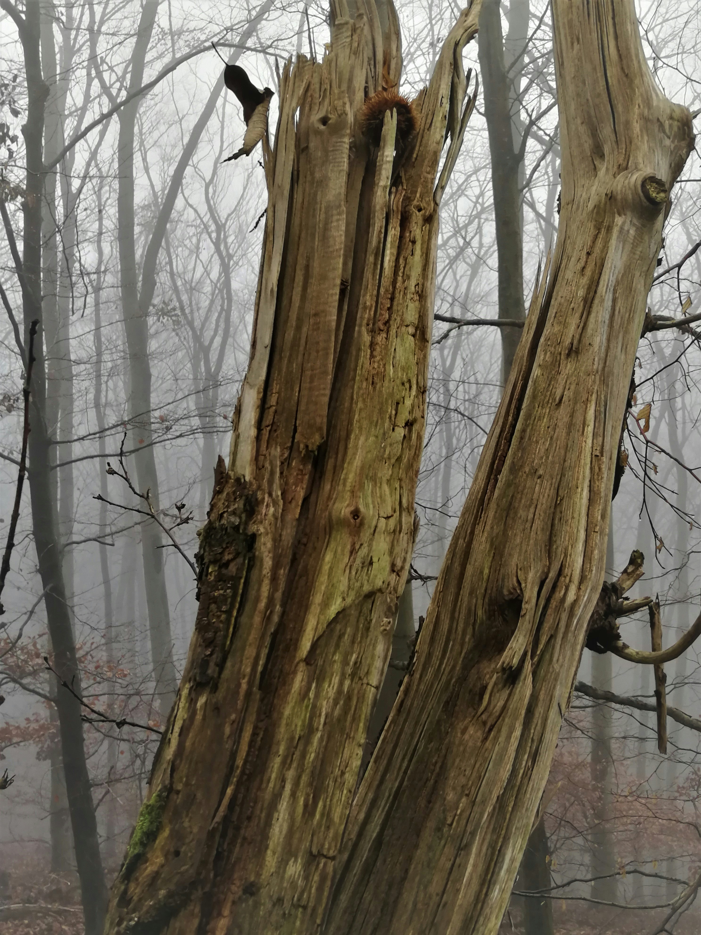 Felix Wiesner (@gegenlicht) | Unsplash 사진 커뮤니티