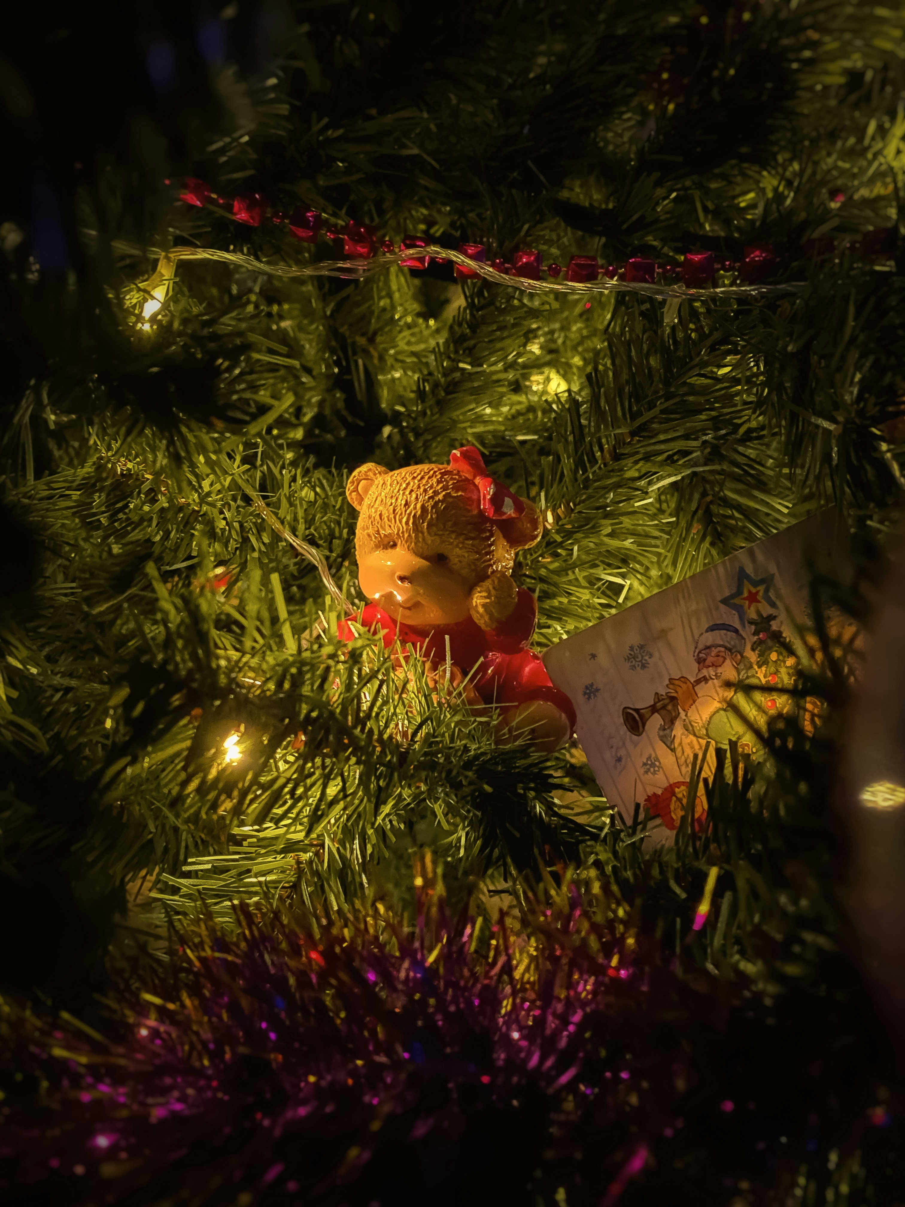Tiny Santa in a Cozy Christmas Tree Choir