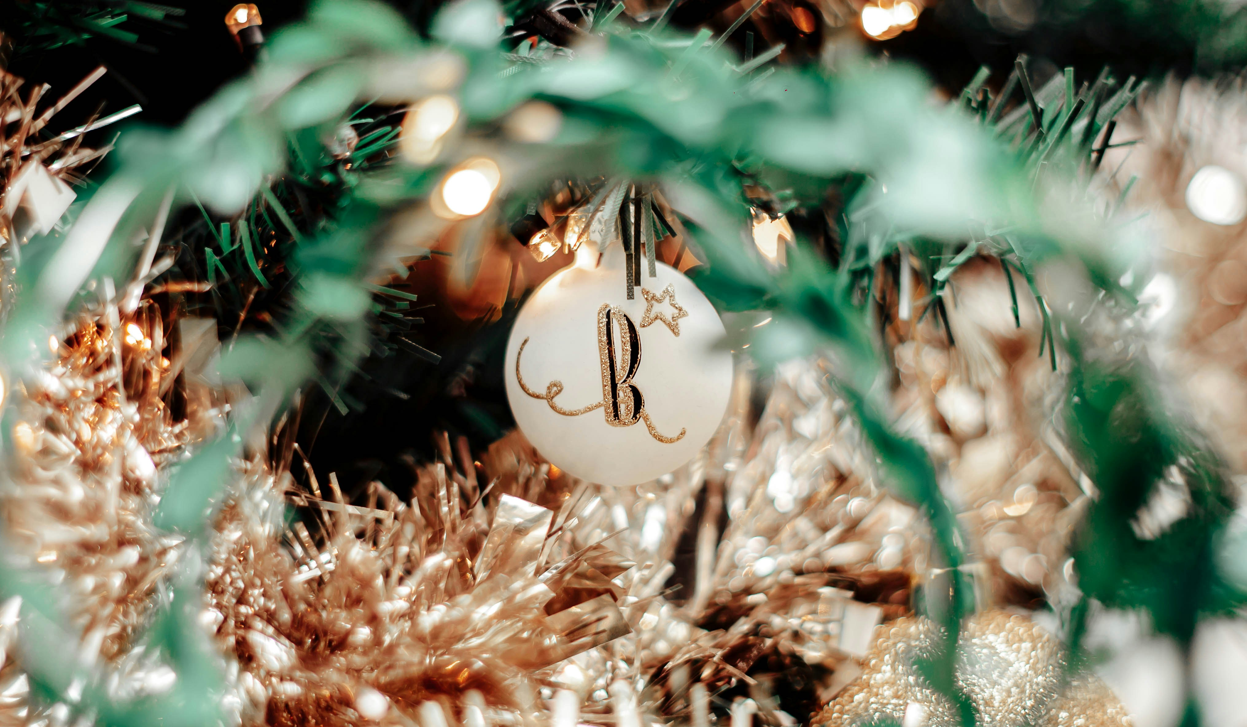 Ornament in a Golden Evening Glow