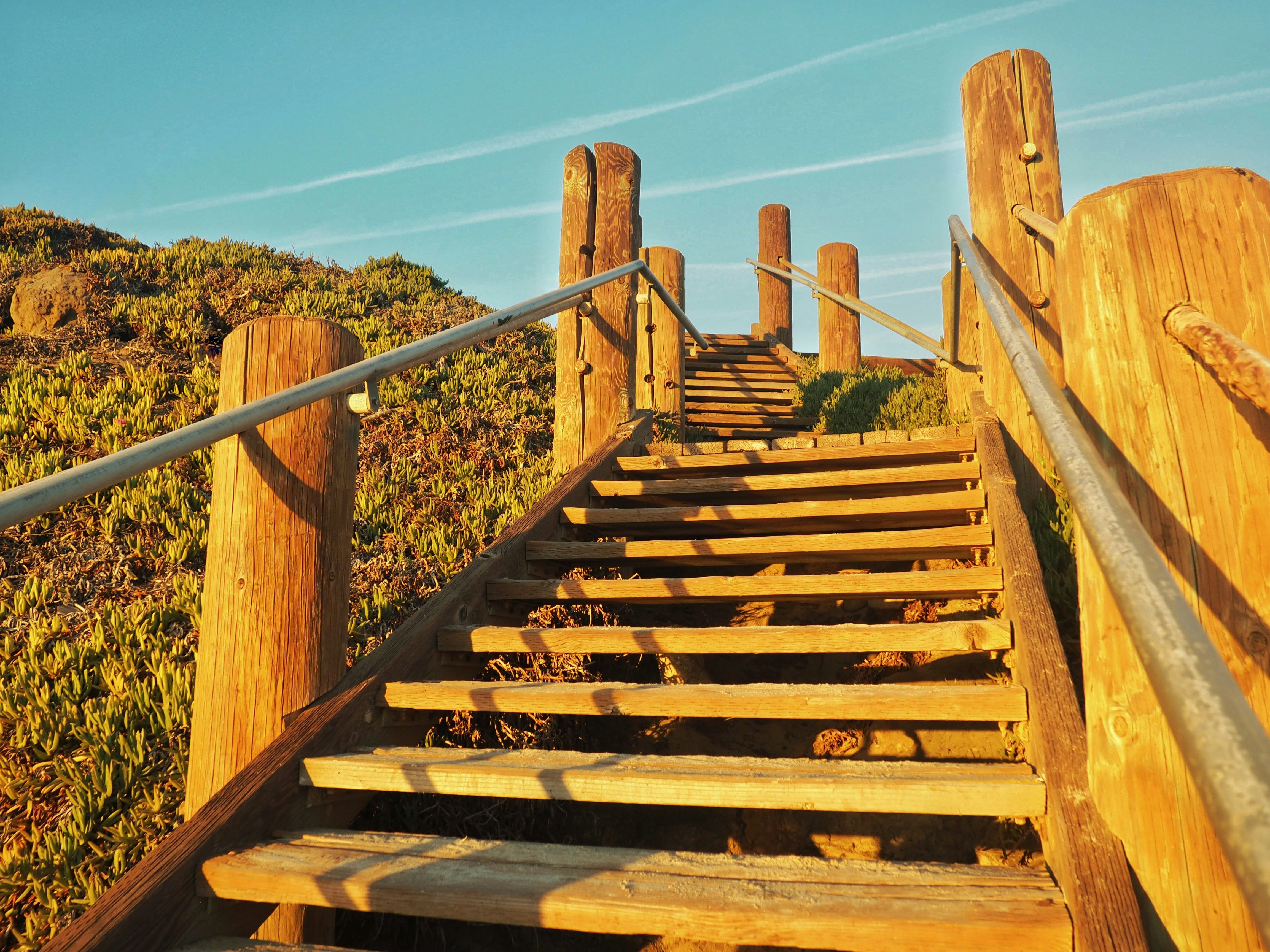 Golden Cedar Steps Ascend Toward a Clear Sky Horizon