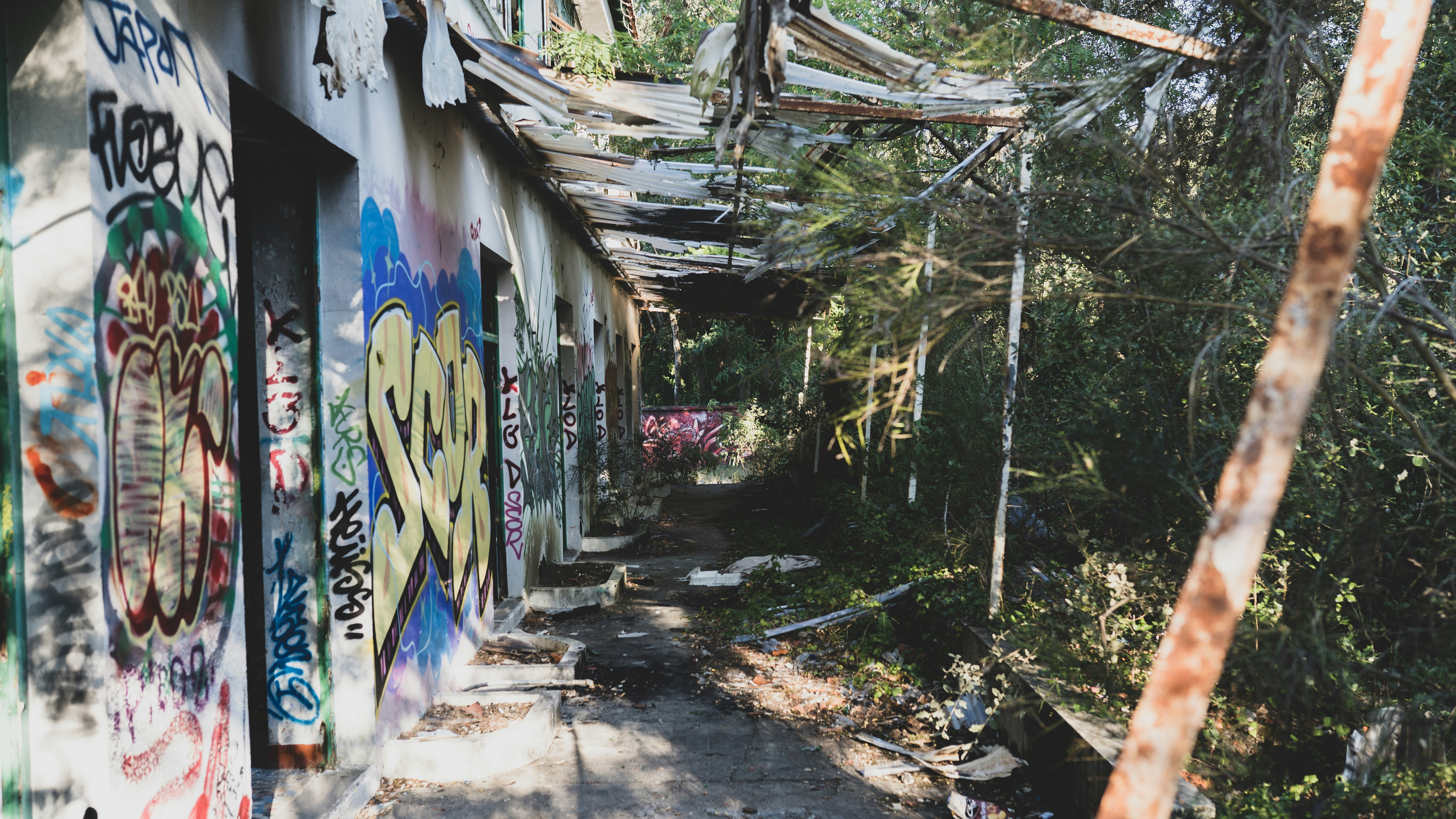 Abandoned corridor adorned with vibrant graffiti and encroaching nature, showcasing the juxtaposition of art and decay.