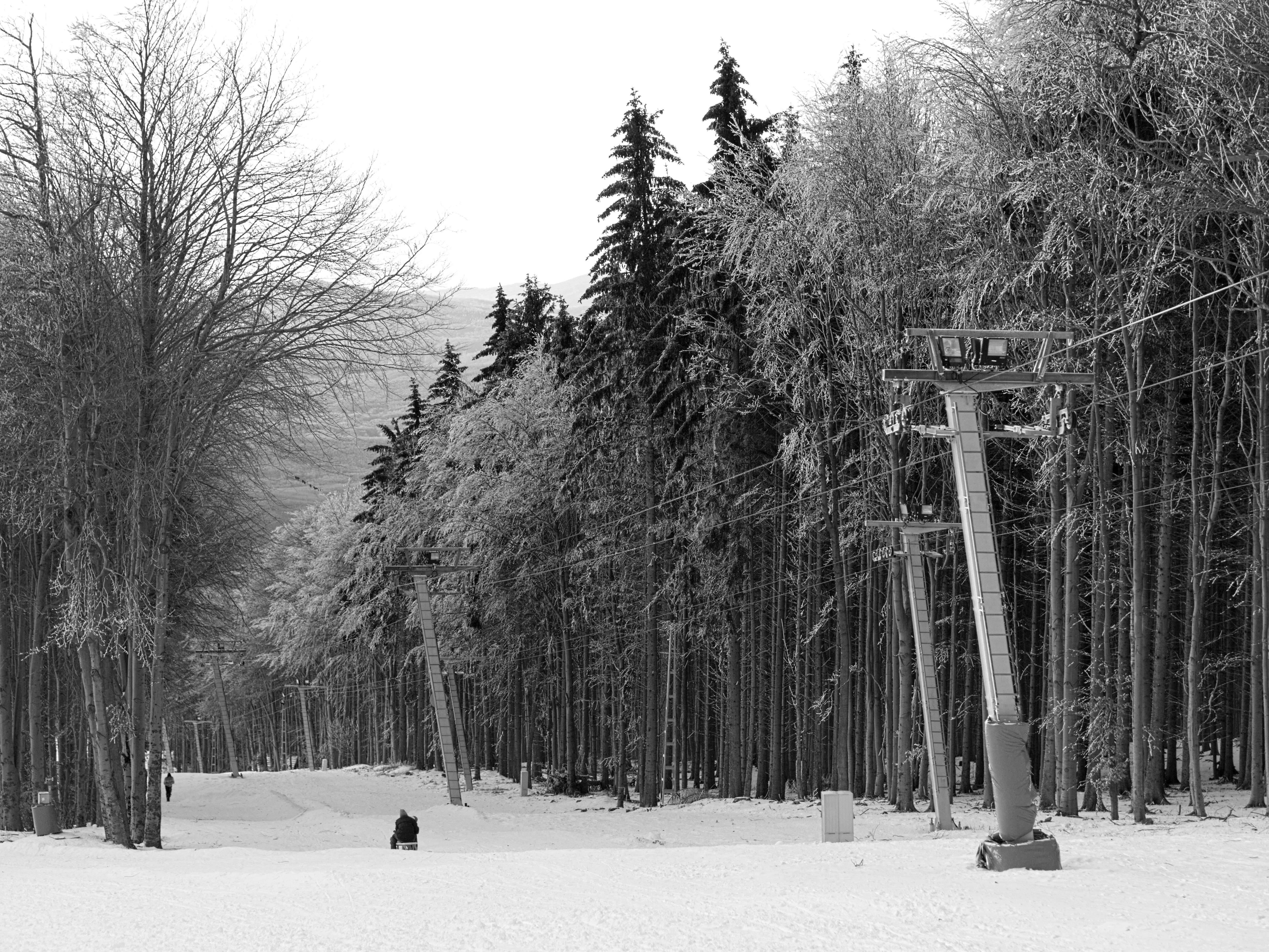 Monochrome winter landscape photograph showing a snow-covered path winding through tall frost-coated trees, with a distant figure and ski-lift towers on the right.