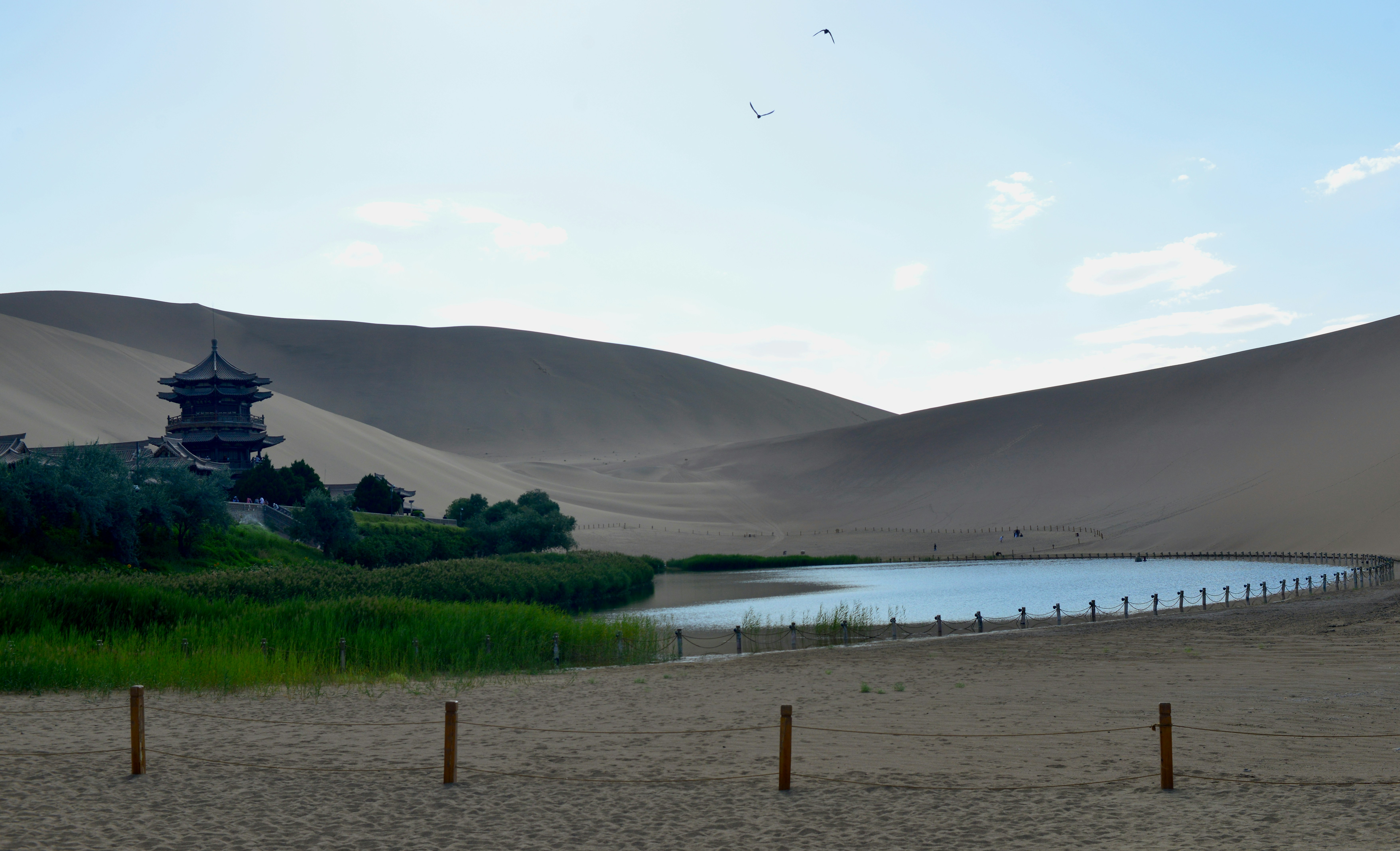 Oasis of Silence: Pagoda by Dune and Water