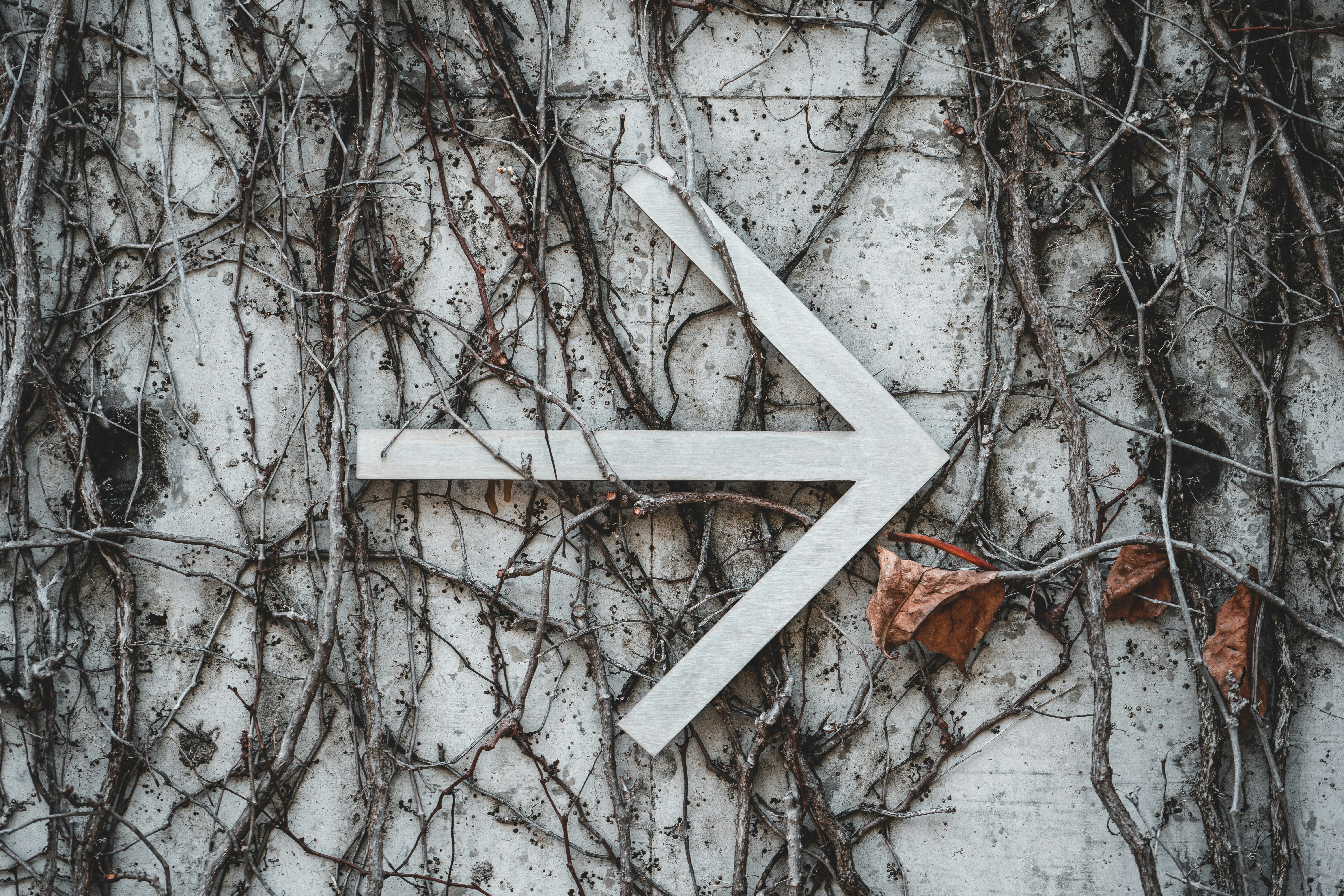 Arrow Through Vines on a Weathered Wall