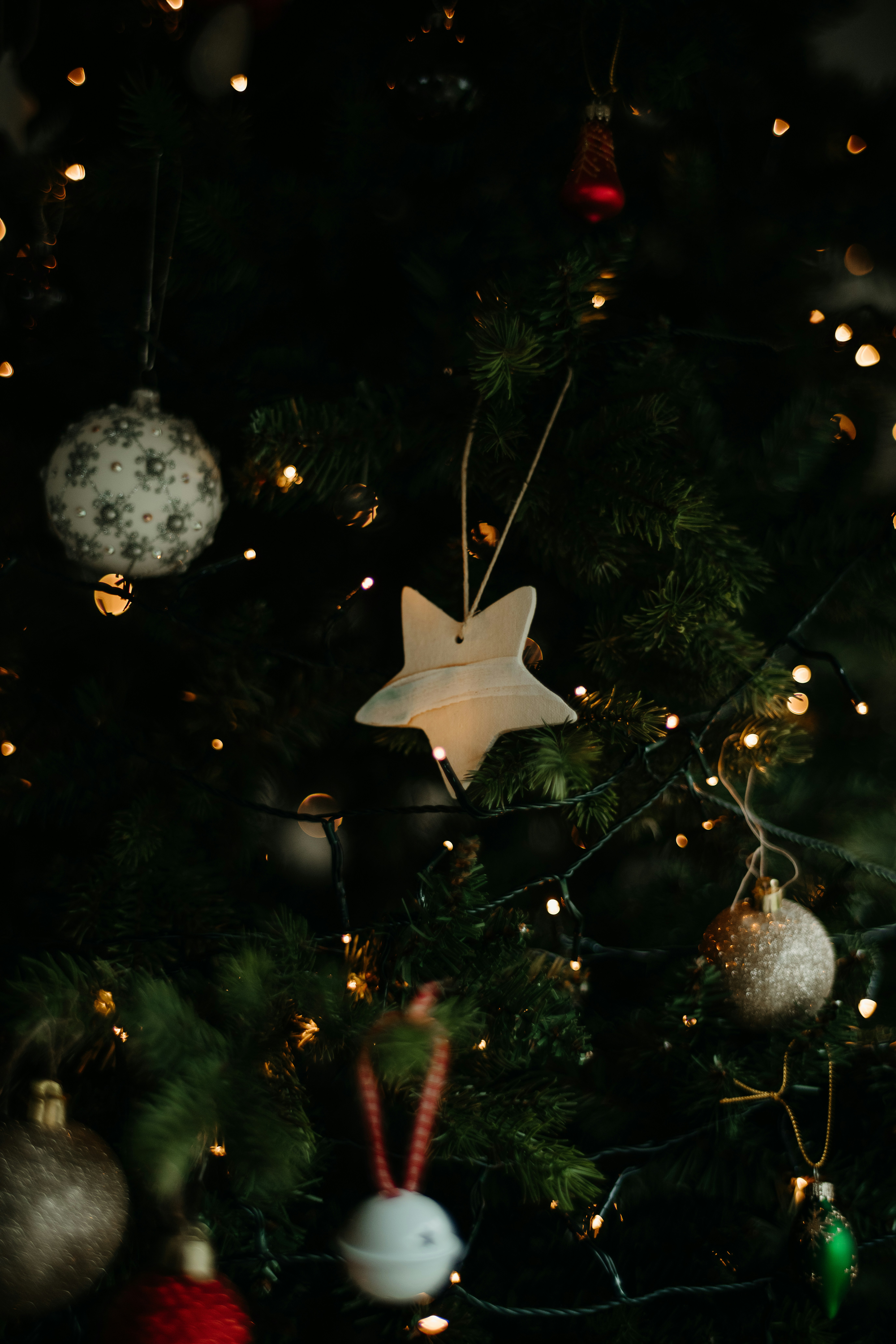 Whispers of a Festive Night
