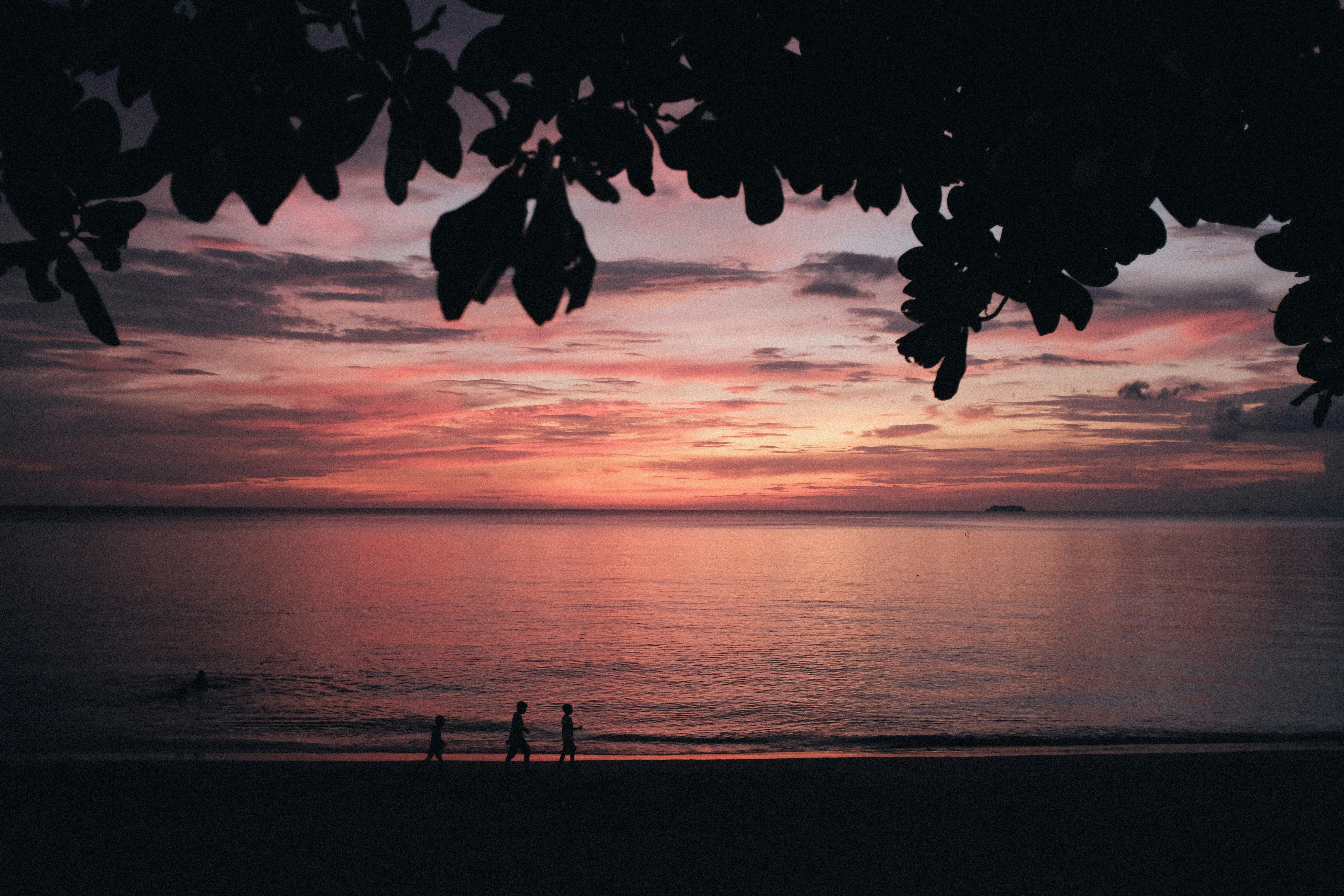 Silhouetted figures walking along a tranquil beach at sunset, framed by overhanging leaves. The sky is painted in soft hues of pink and purple.