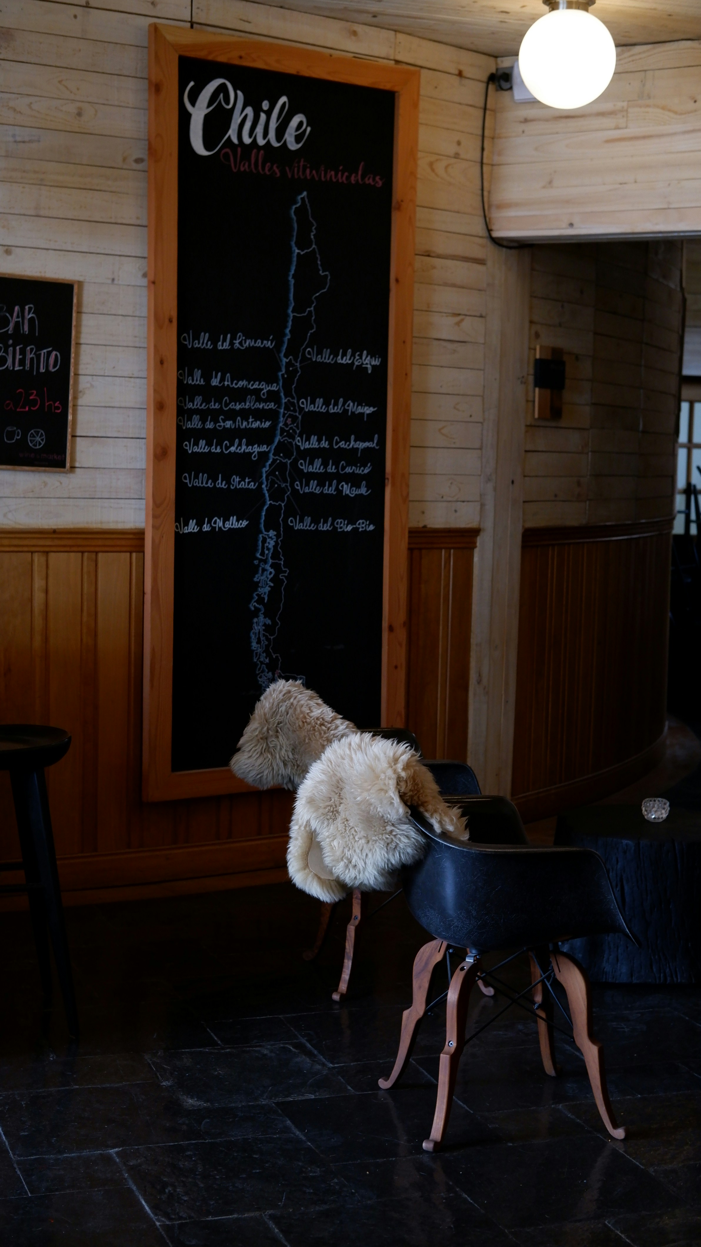 a dog sitting in a chair in front of a chalk board
