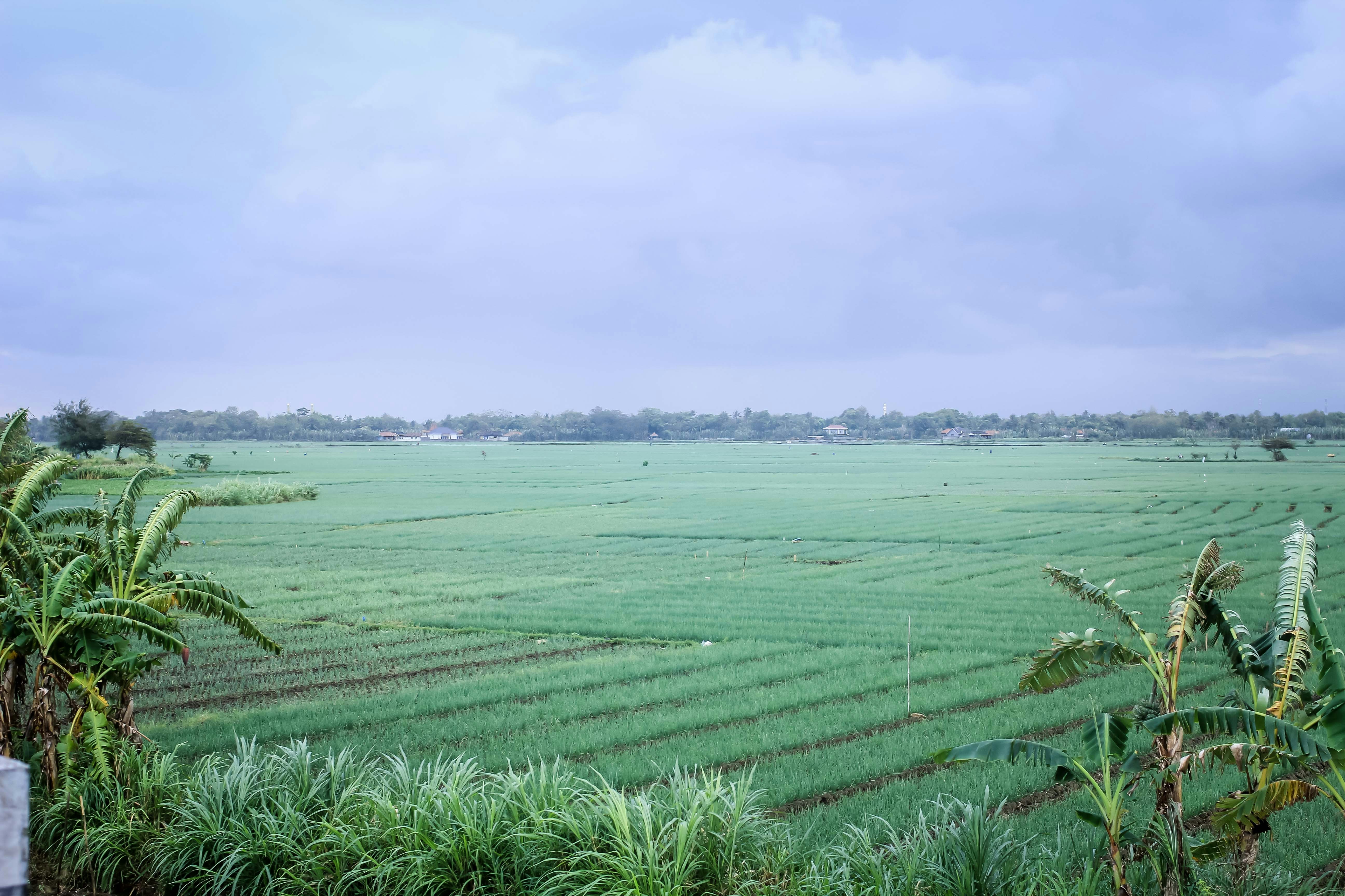 Boman Photography (@bomannn94) | Unsplash Photo Community