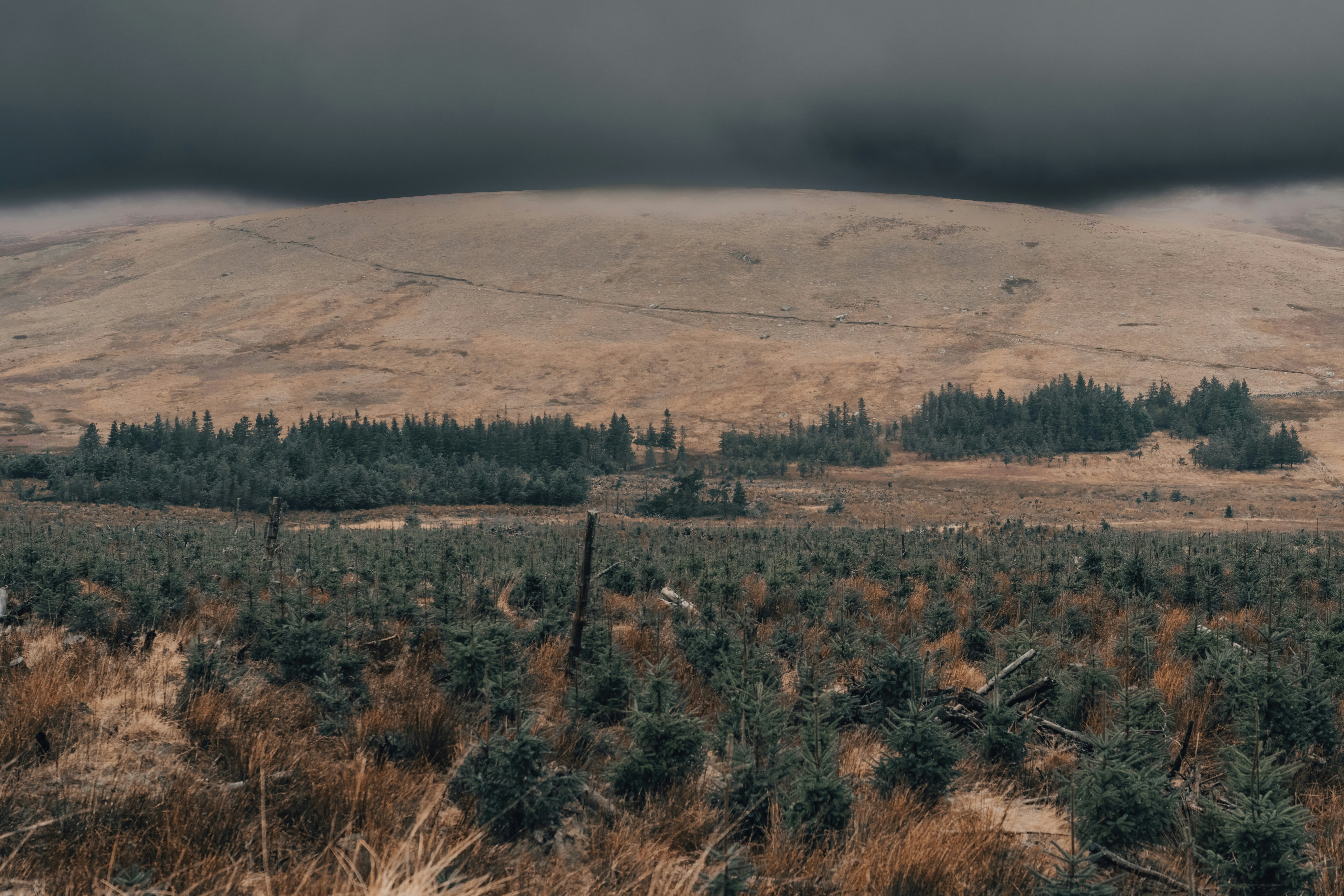 Hushed Ridge Under a Brooding Sky
