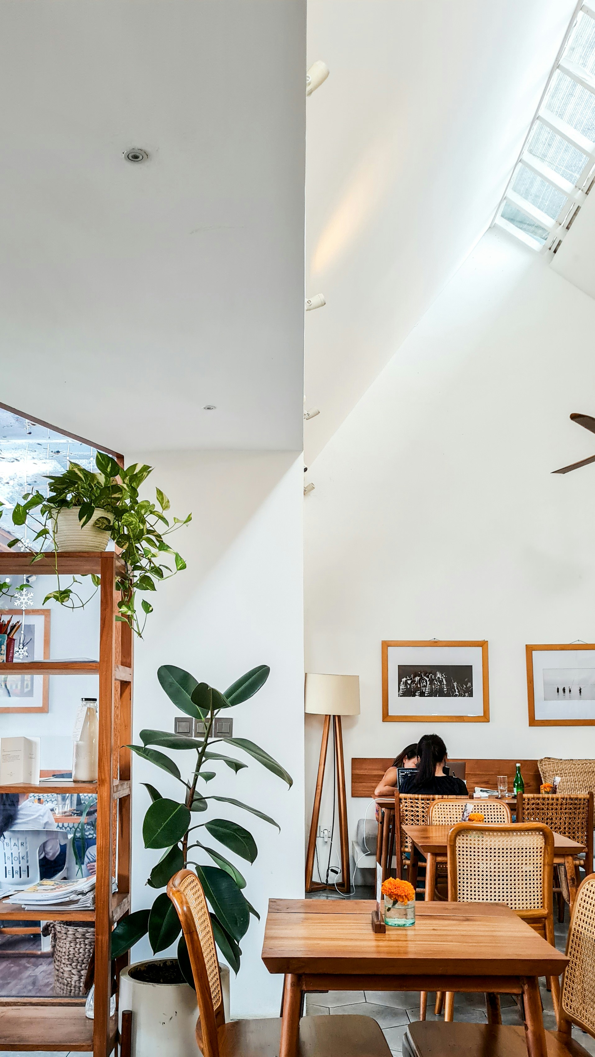 Photograph of a sunlit minimalist café interior with wooden tables and tall houseplants, a customer seated toward the back.