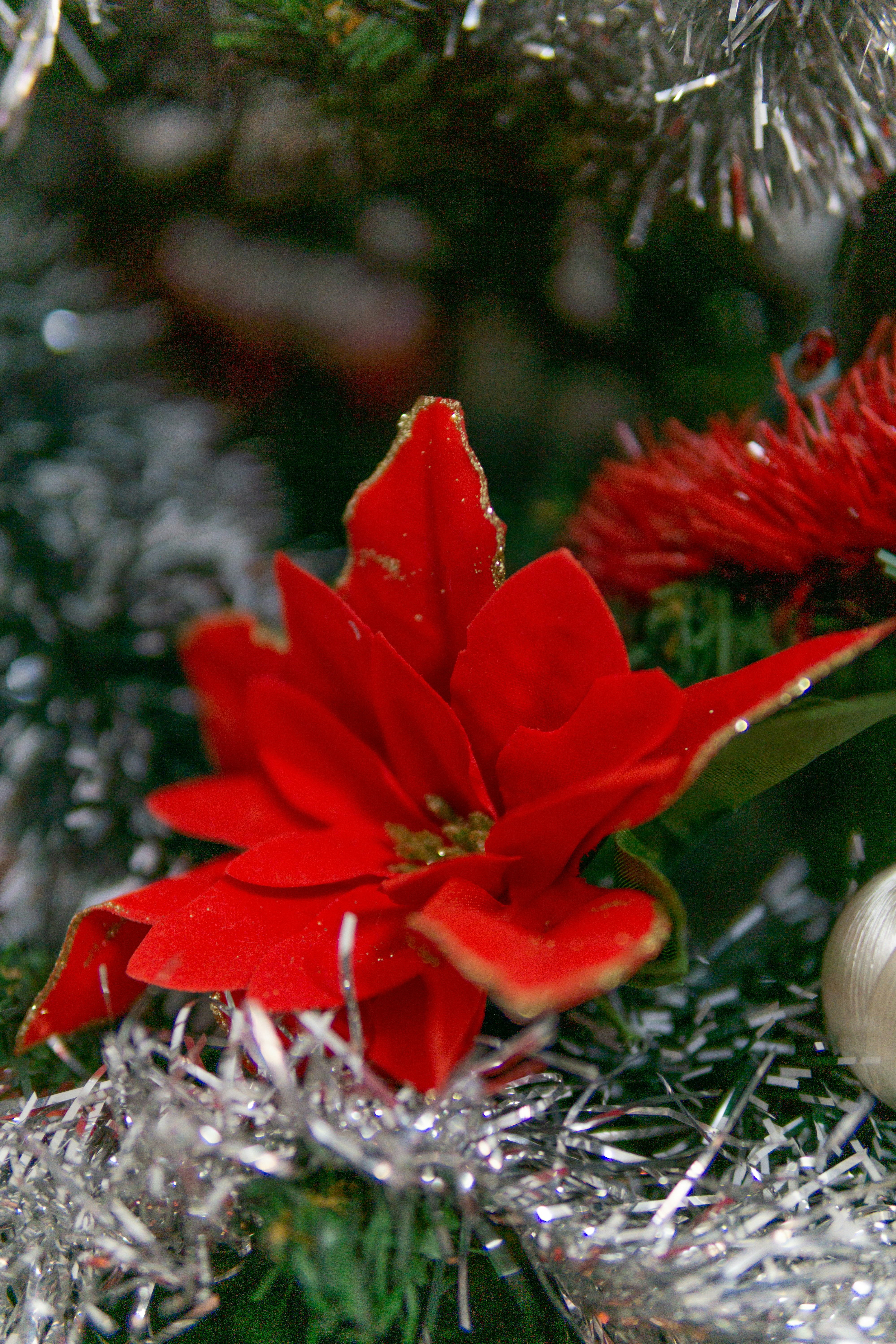 Vibrant red poinsettia nestled among glimmering holiday decorations on a Christmas tree.