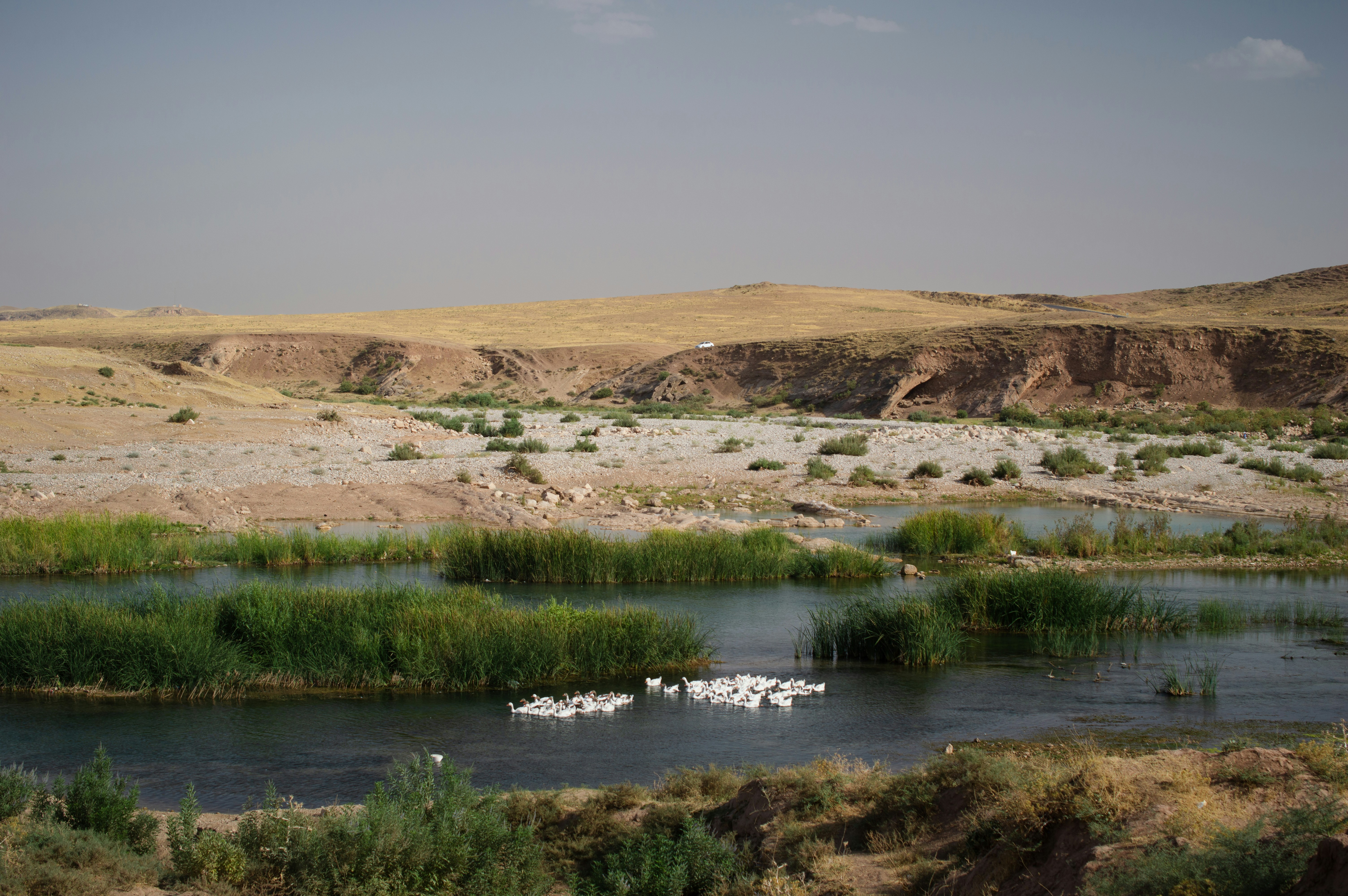 A body of water photo – Free Bardarash Image on Unsplash