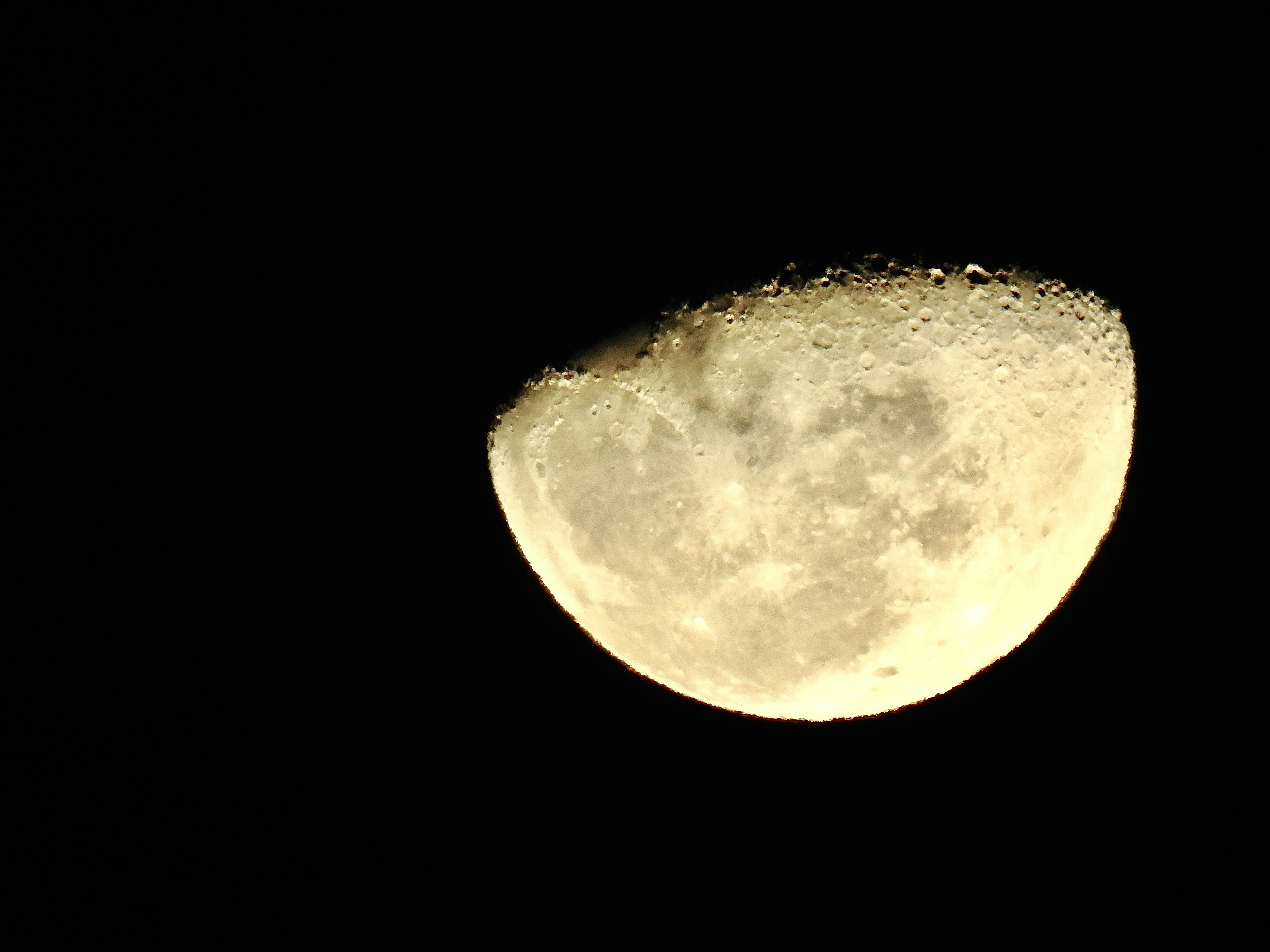 Sample photo from Nikon COOLPIX P900