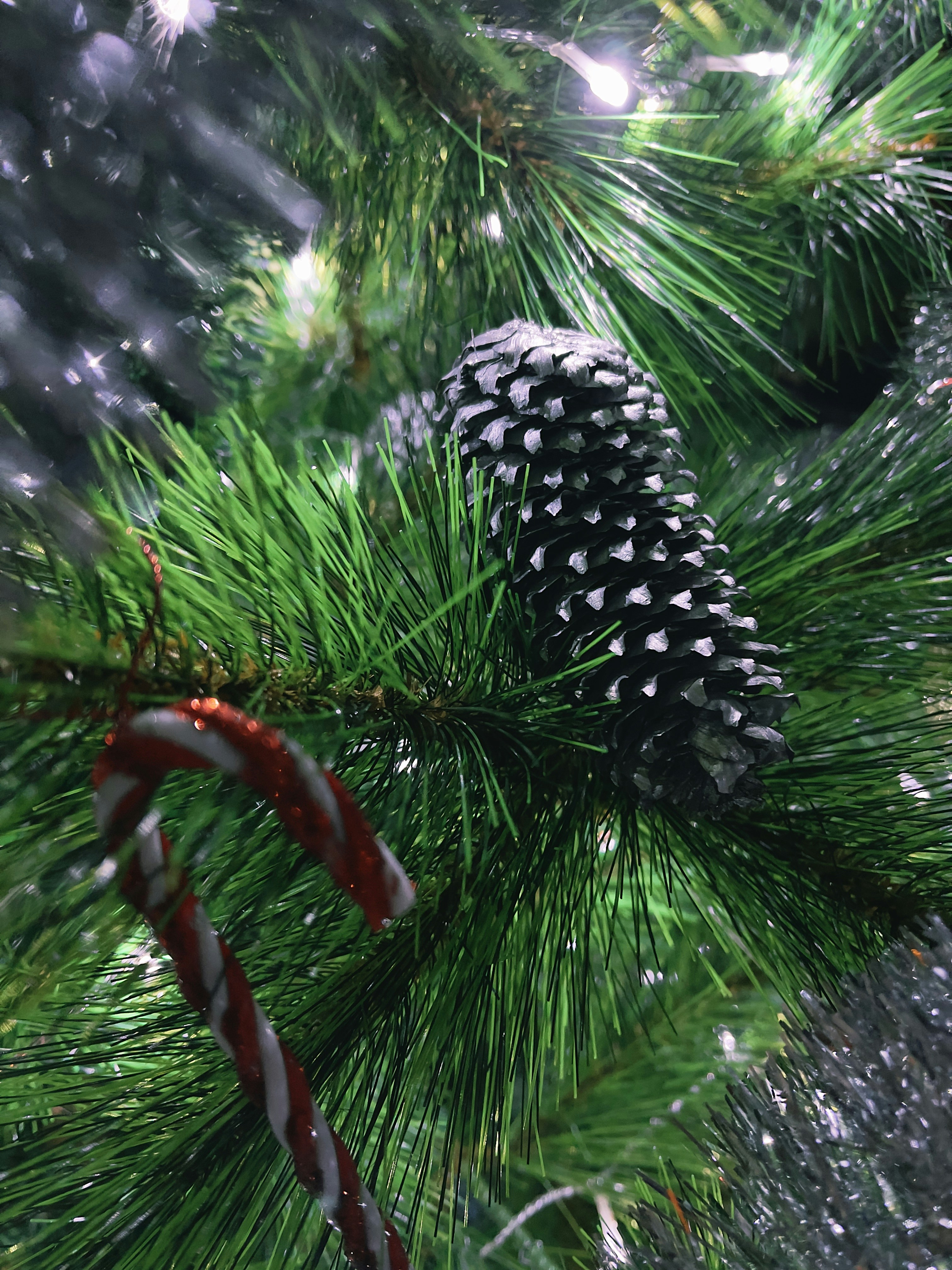 Close-up on simple decorations on my Christmas tree