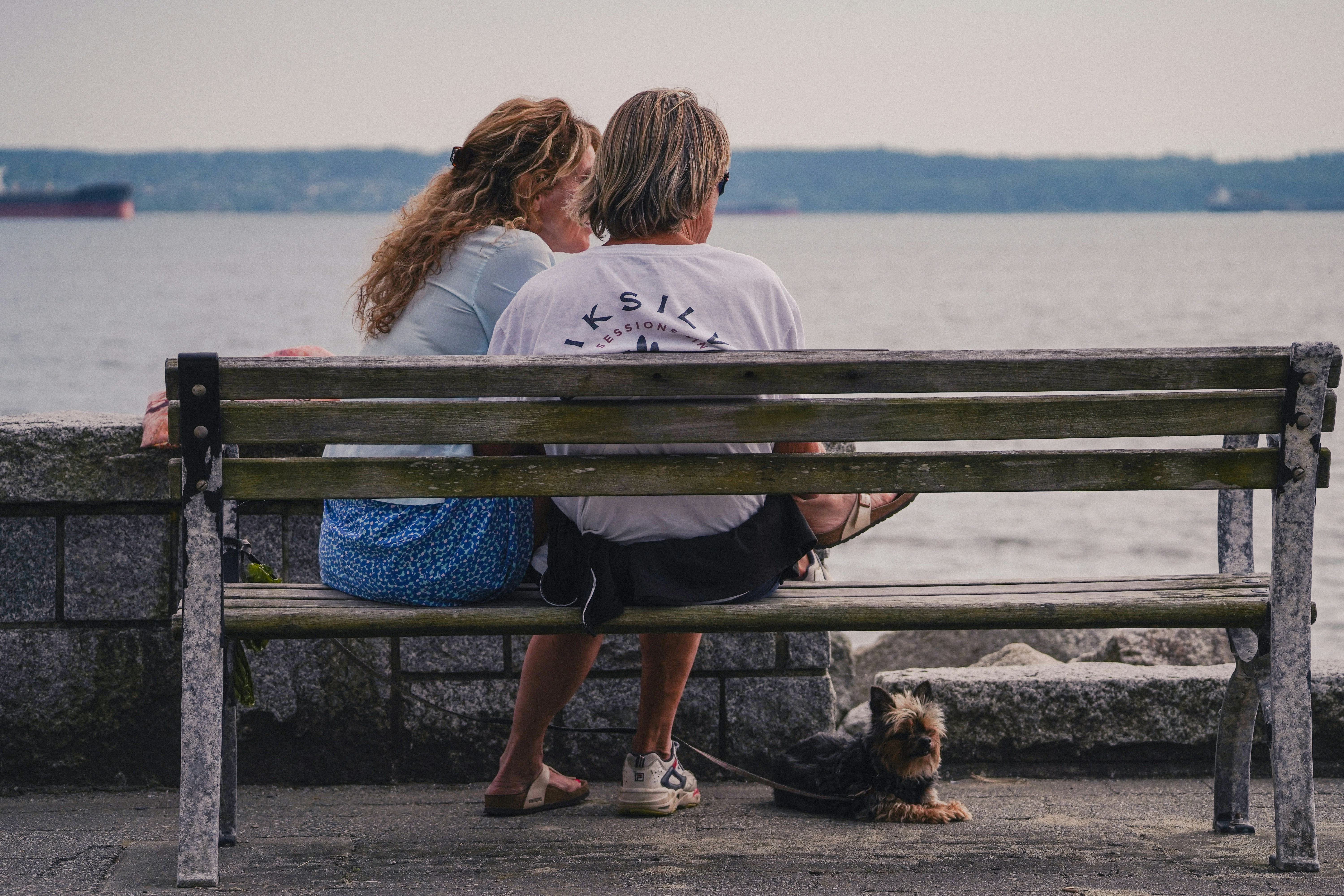 Harbor Quiet: A Seaside Bench Moment with a Dozing Companion