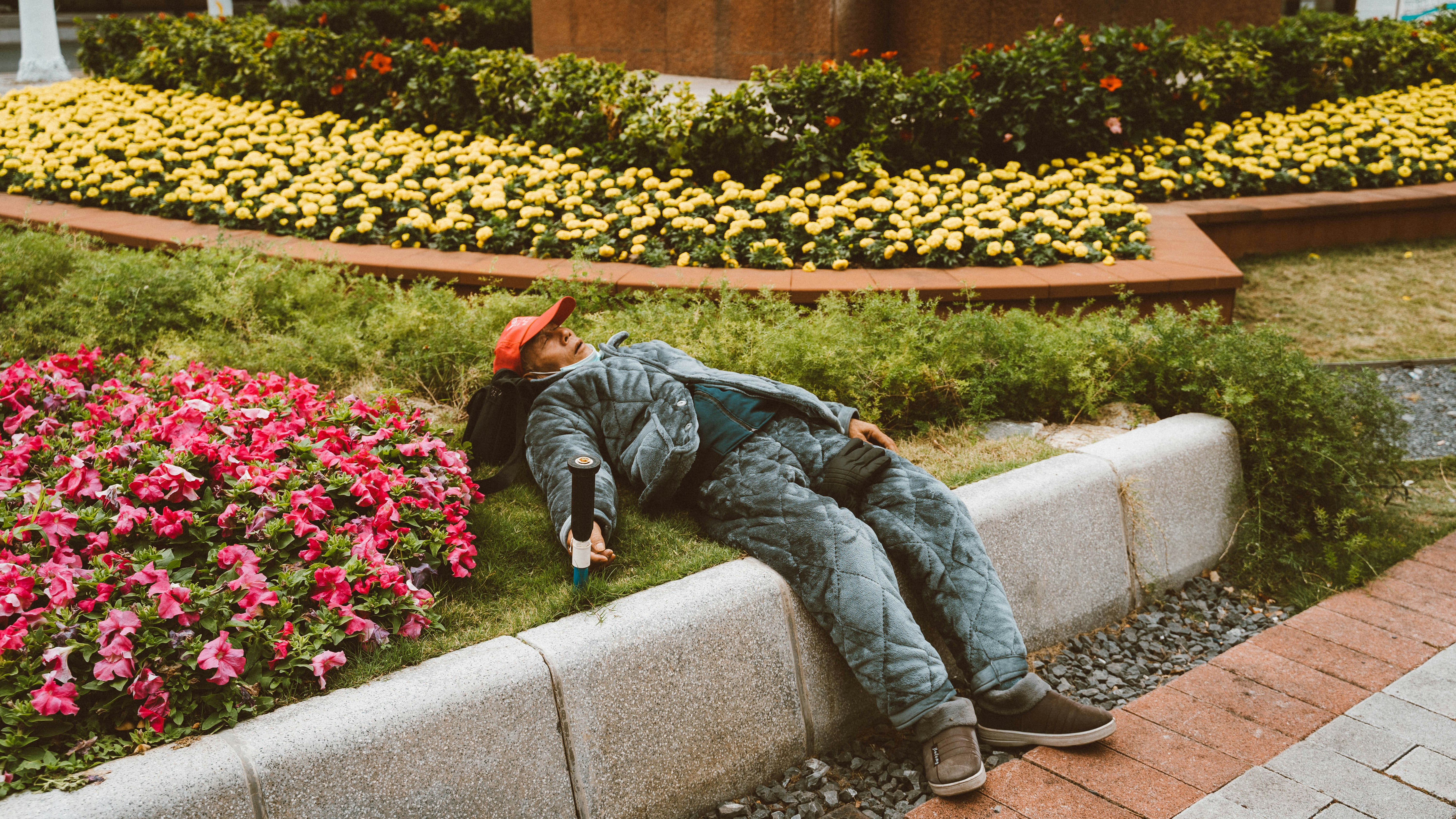 A person laying on the ground next to a flower garden photo – Free ...