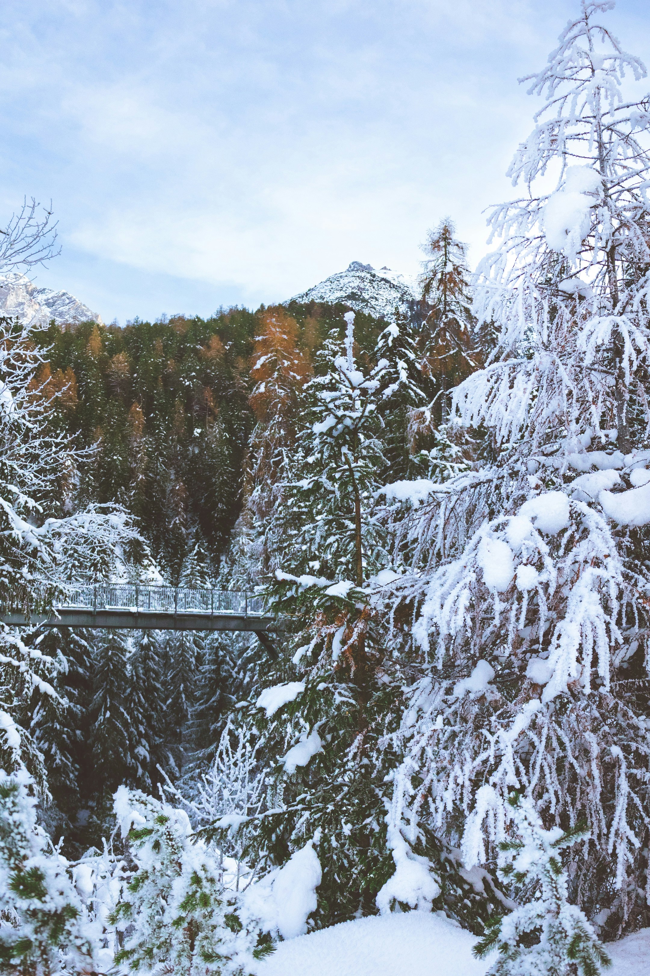 The Quiet Snowbridge: A Frosted Canyon Link