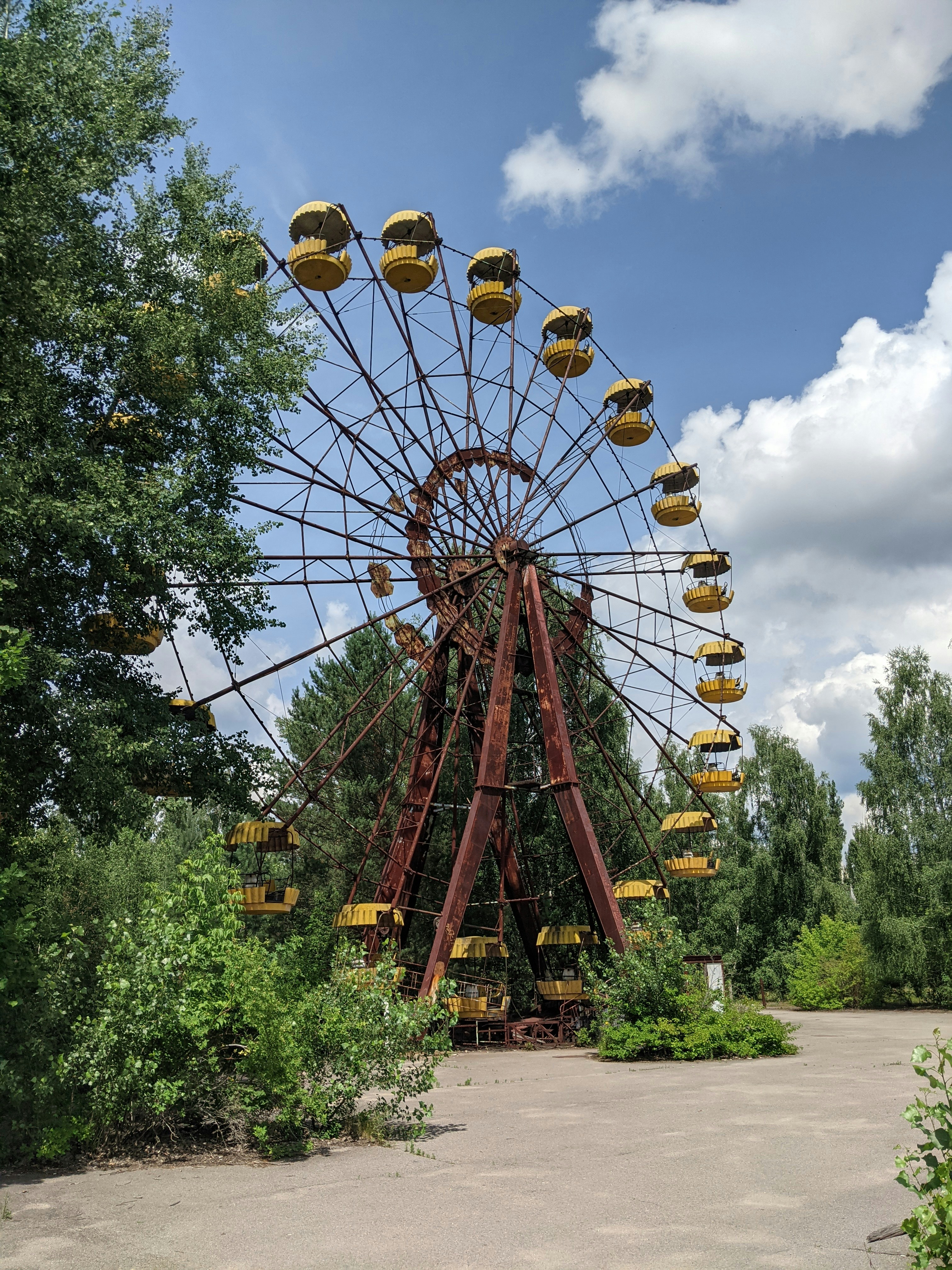 a large ferris wheel sitting in the middle of a forest