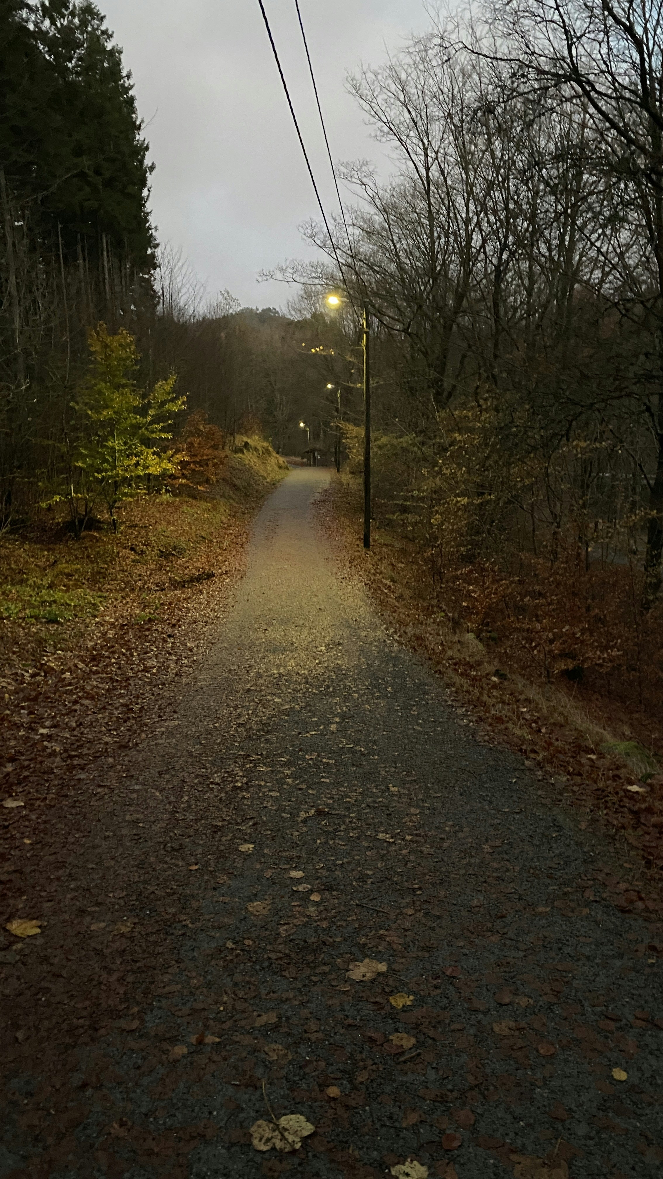 A tranquil pathway lined with fallen leaves, illuminated by soft streetlights under a cloudy sky. The scene evokes a sense of calm and reflection.