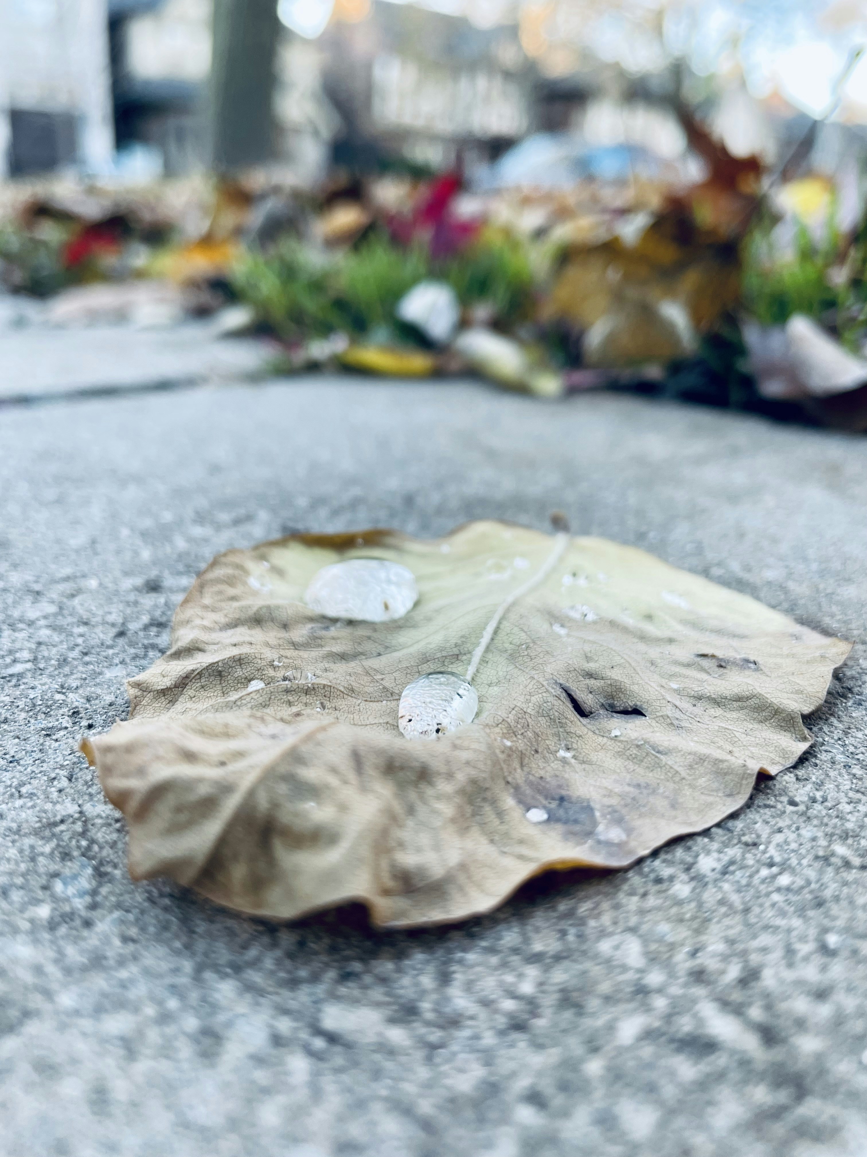 a piece of food