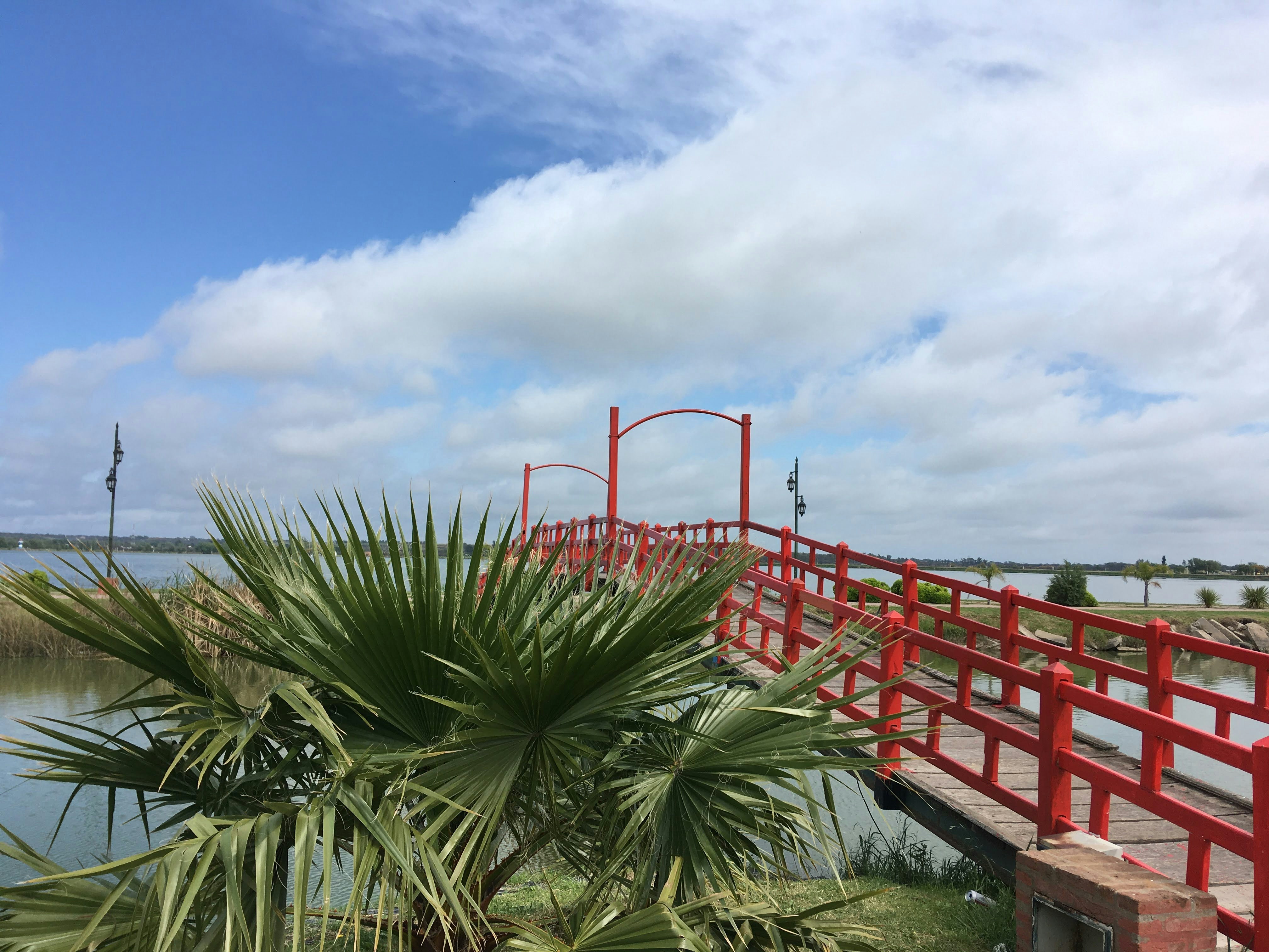 Red bridge arches over a serene lake with palm fronds in the foreground and a cloudy sky above.