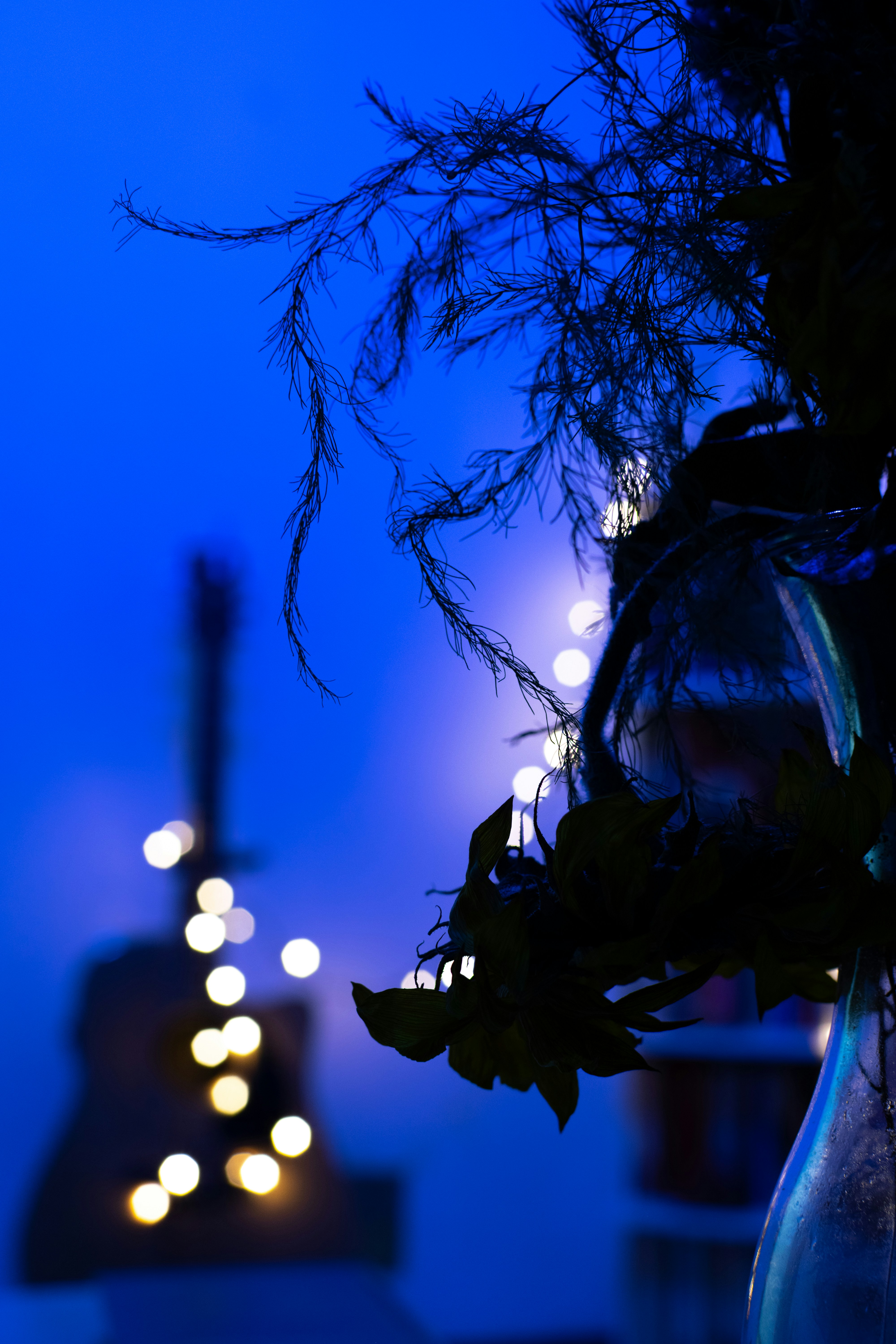 Azure Nightfall: Glass Bottle Framed by Vines Beneath Soft Fairy Lights