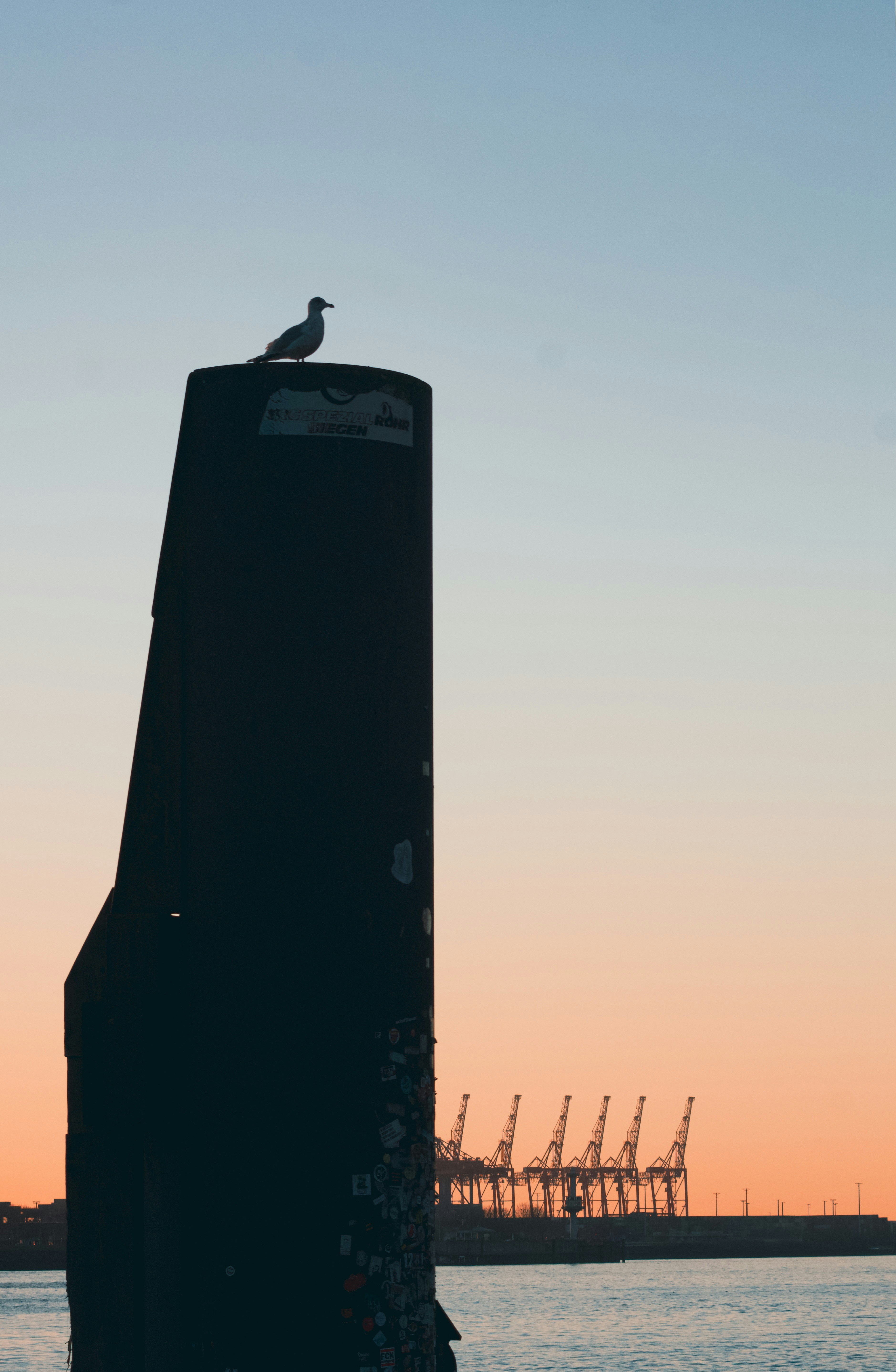 Silhouette of a seagull perched atop a post against a soft sunset sky, with distant cranes lining the horizon.