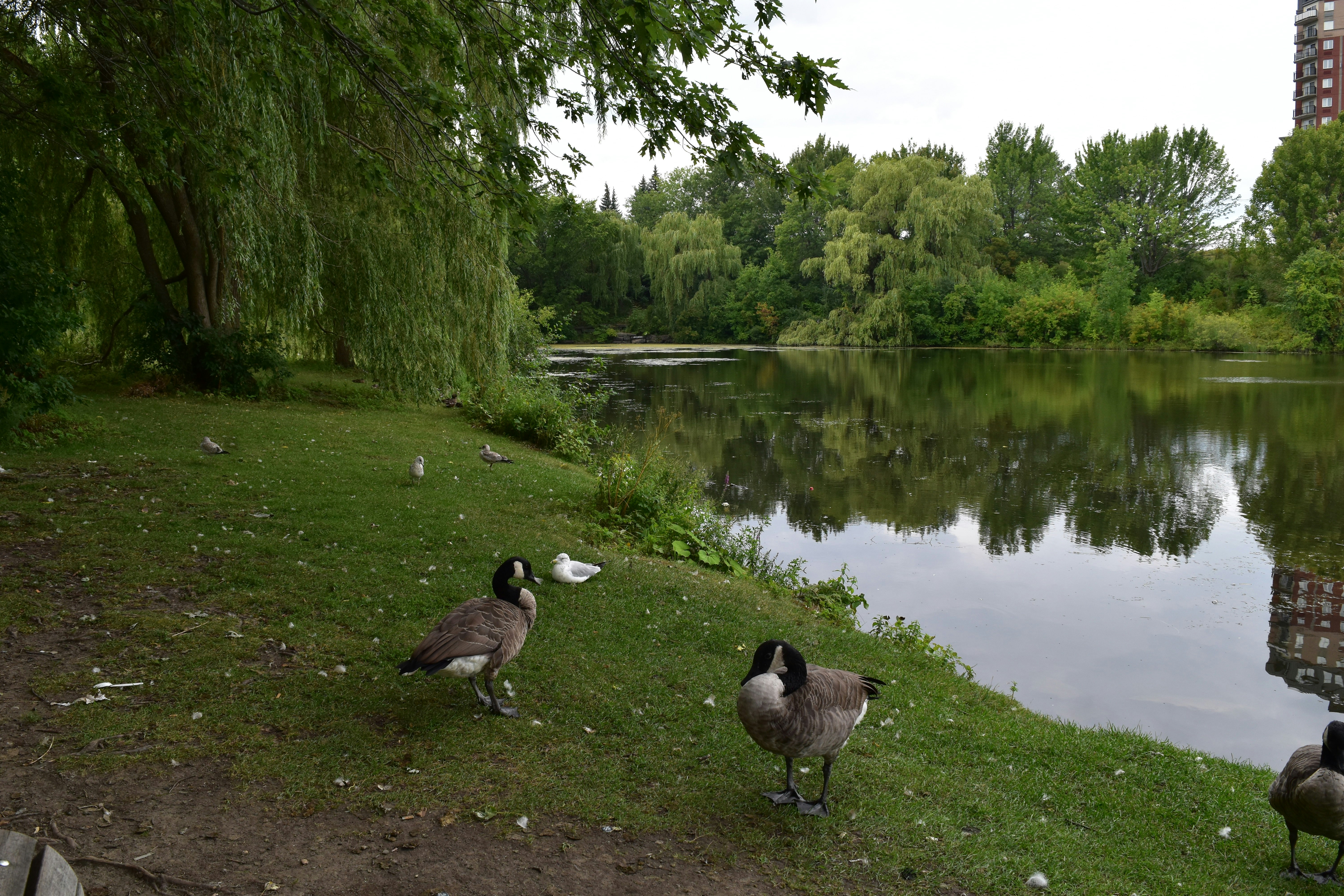 Mahsa Nazari (@mahsa_nazari) | Unsplash Photo Community