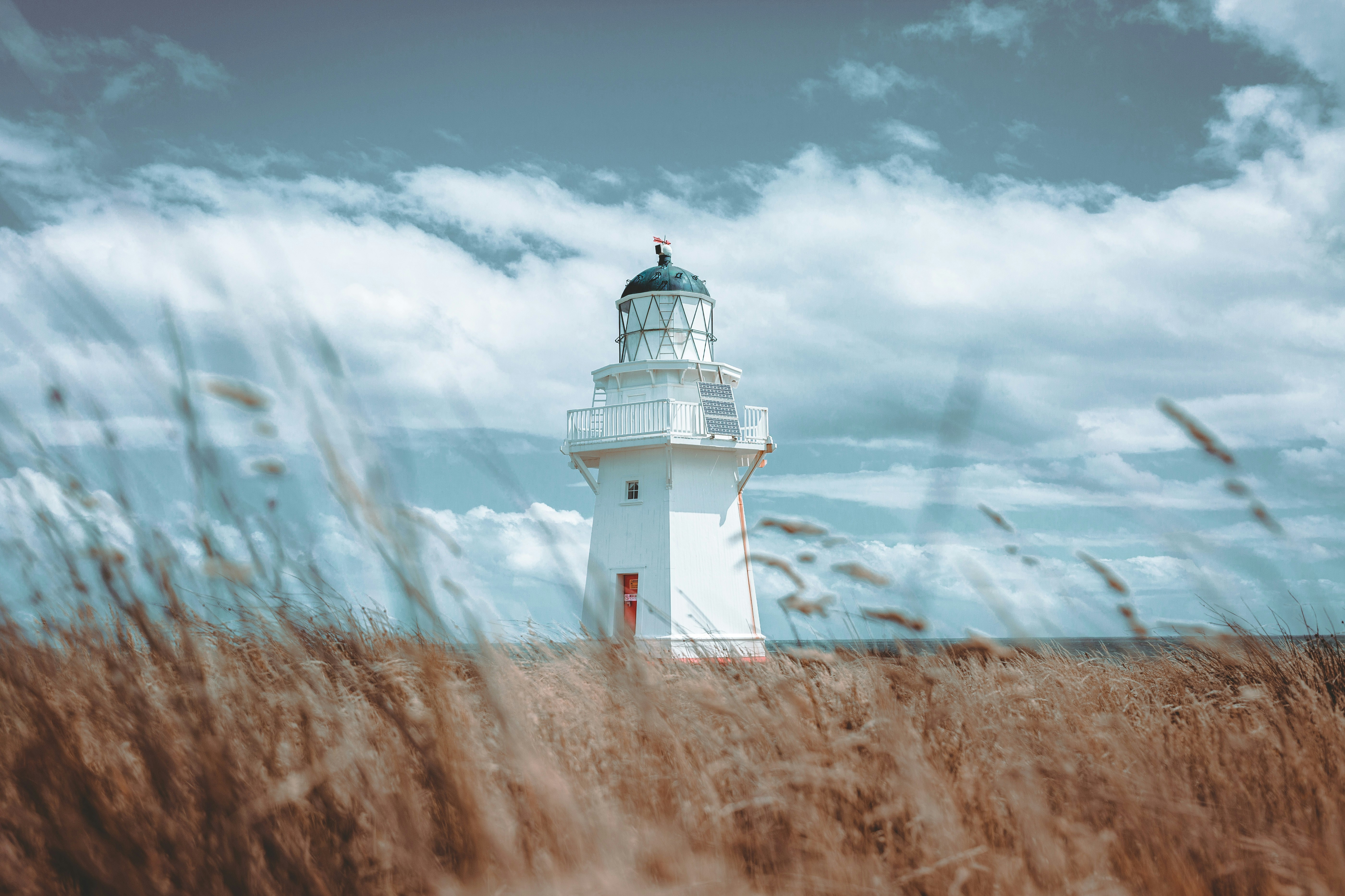 A lighthouse in the middle of a field of tall grass photo – Free New ...
