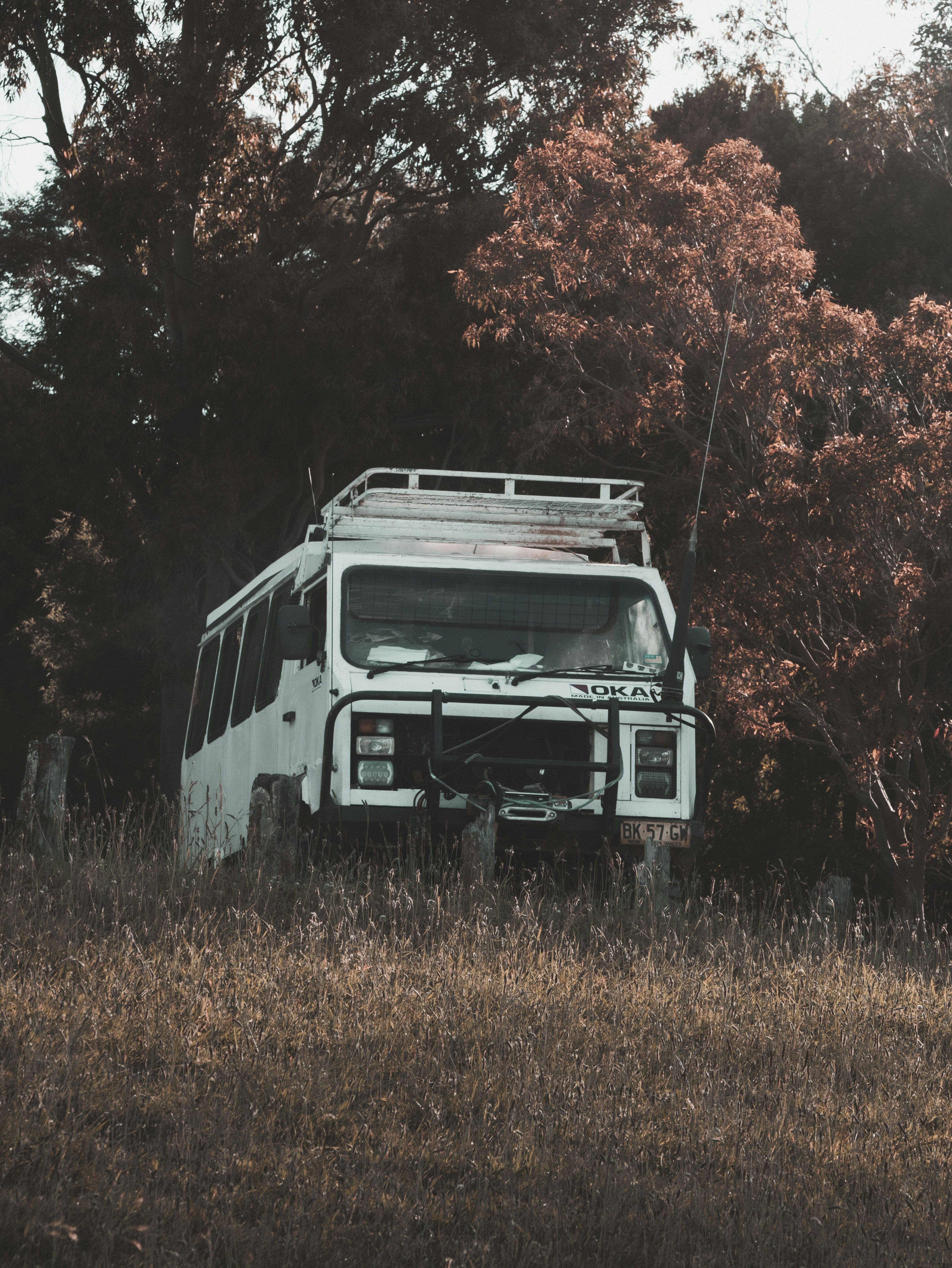 Abandoned white van partially hidden by overgrown grass and trees, evoking a sense of nostalgia and exploration.