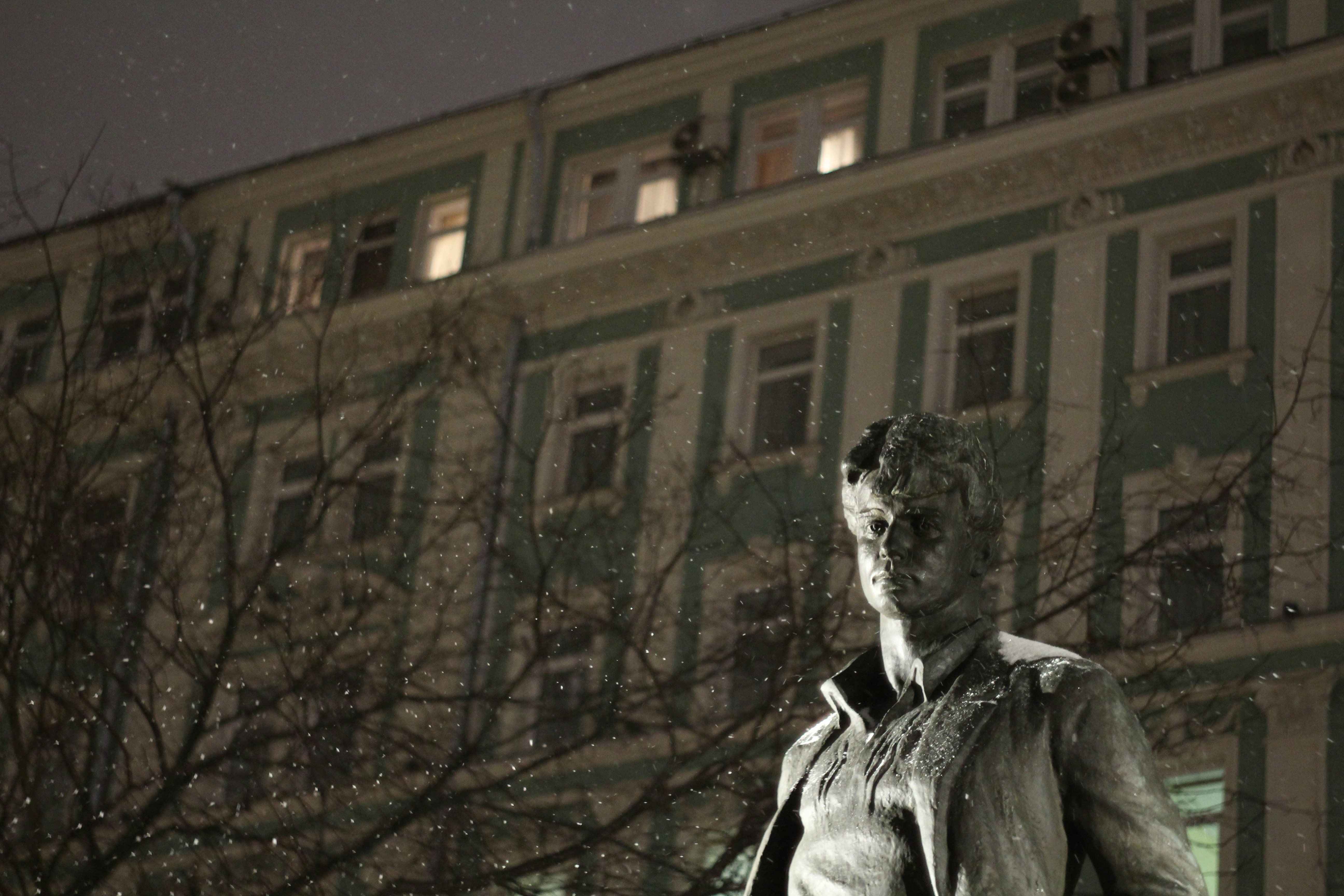 Winter Snow Framing a Standing Figure Before a Green Facade