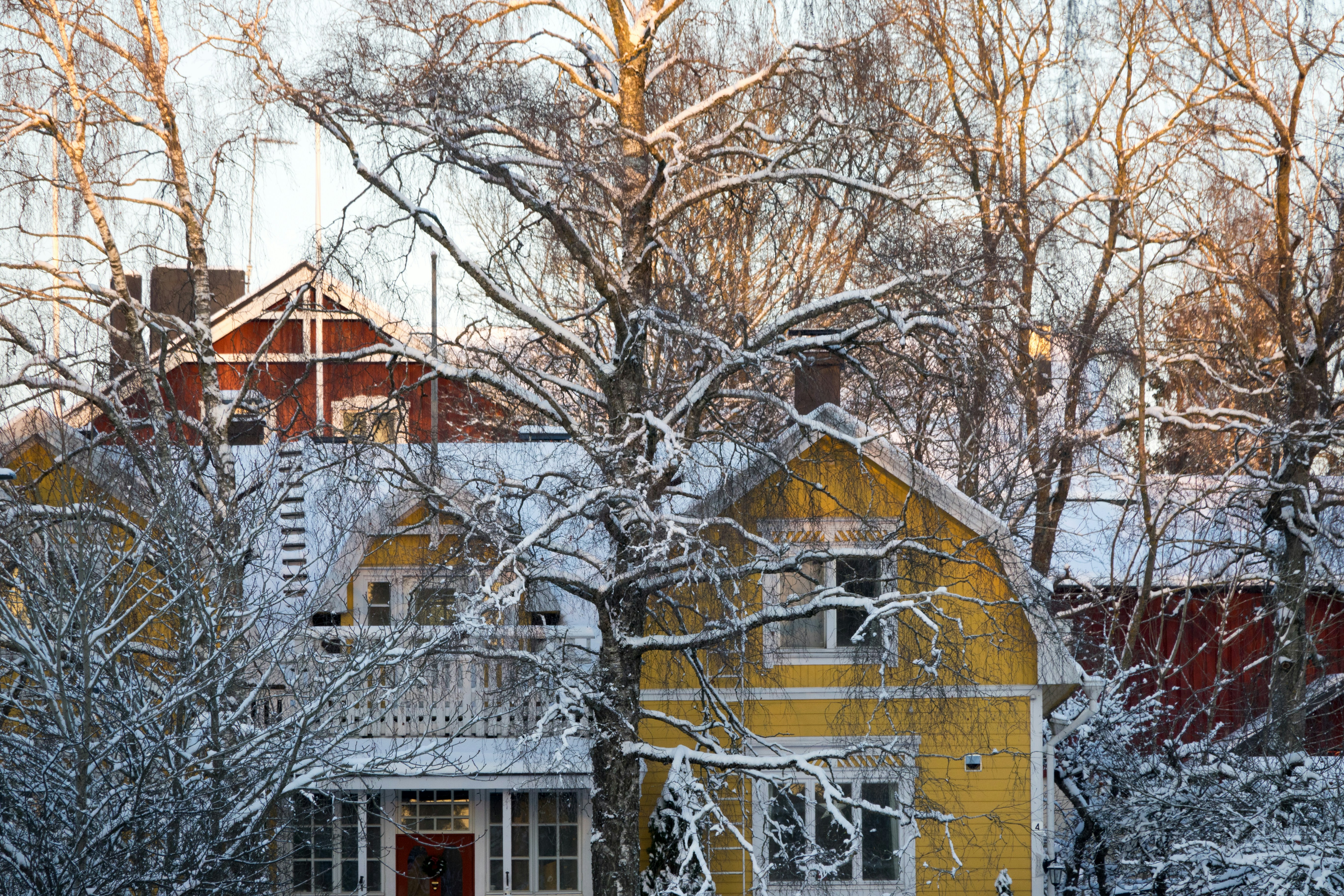 Charming yellow house nestled among snow-laden trees, with a backdrop of red buildings in a serene winter landscape.