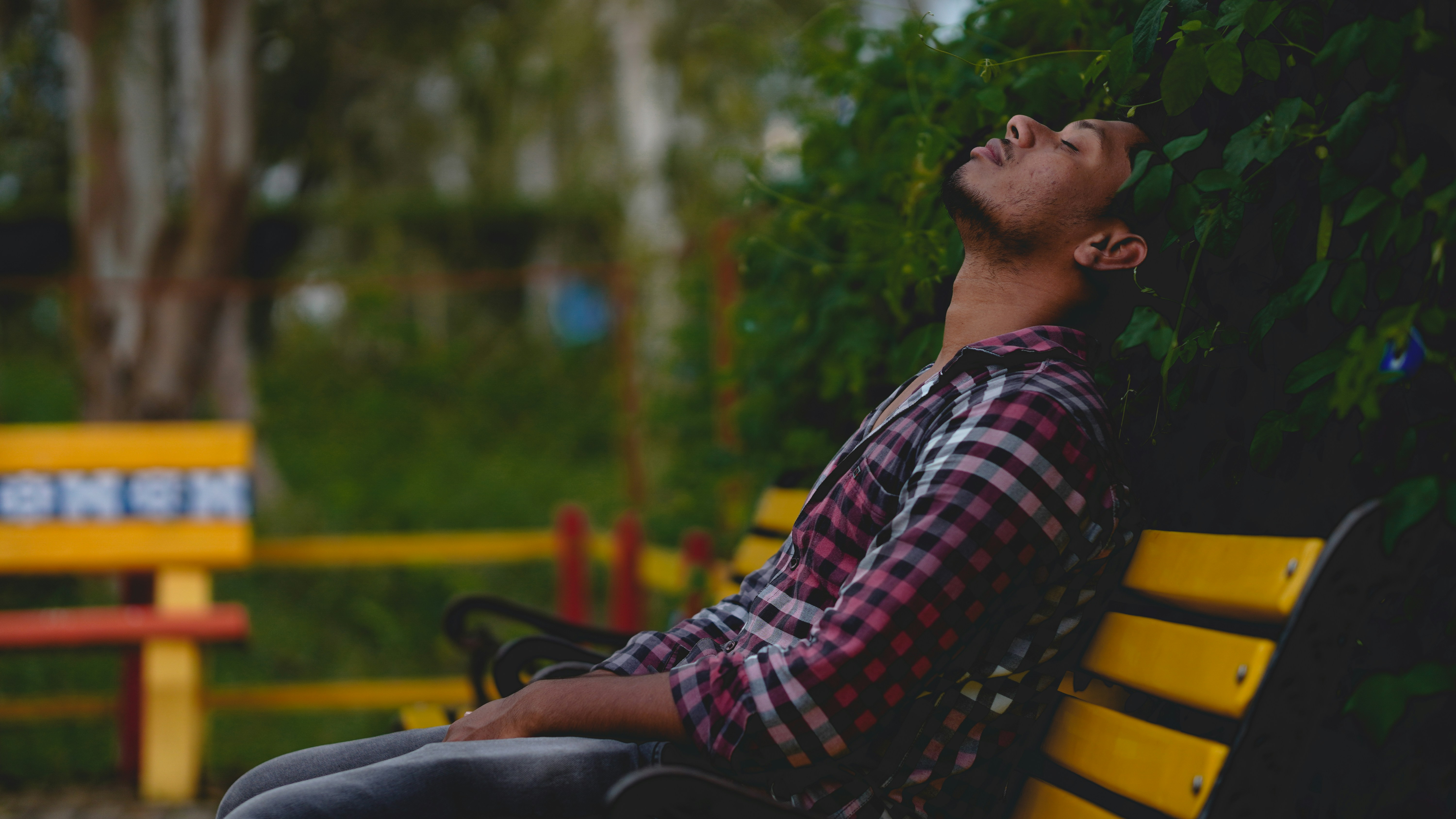 Man resting on a park bench with his head tilted back, surrounded by lush greenery. The vibrant colors of the bench contrast with the serene atmosphere.