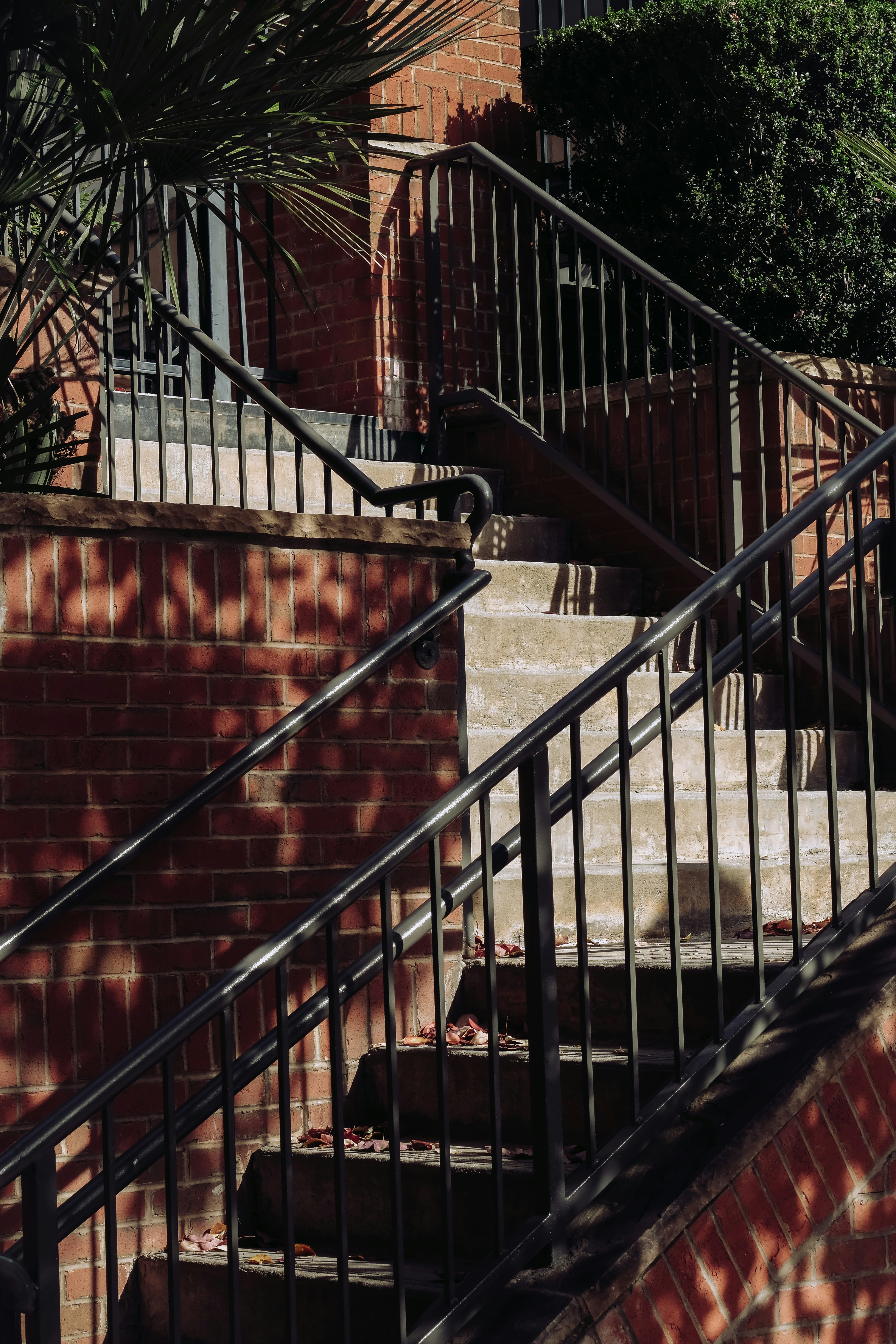 Sunlight casts intricate shadows on a brick staircase, highlighting the interplay of light and texture. Lush greenery frames the scene.