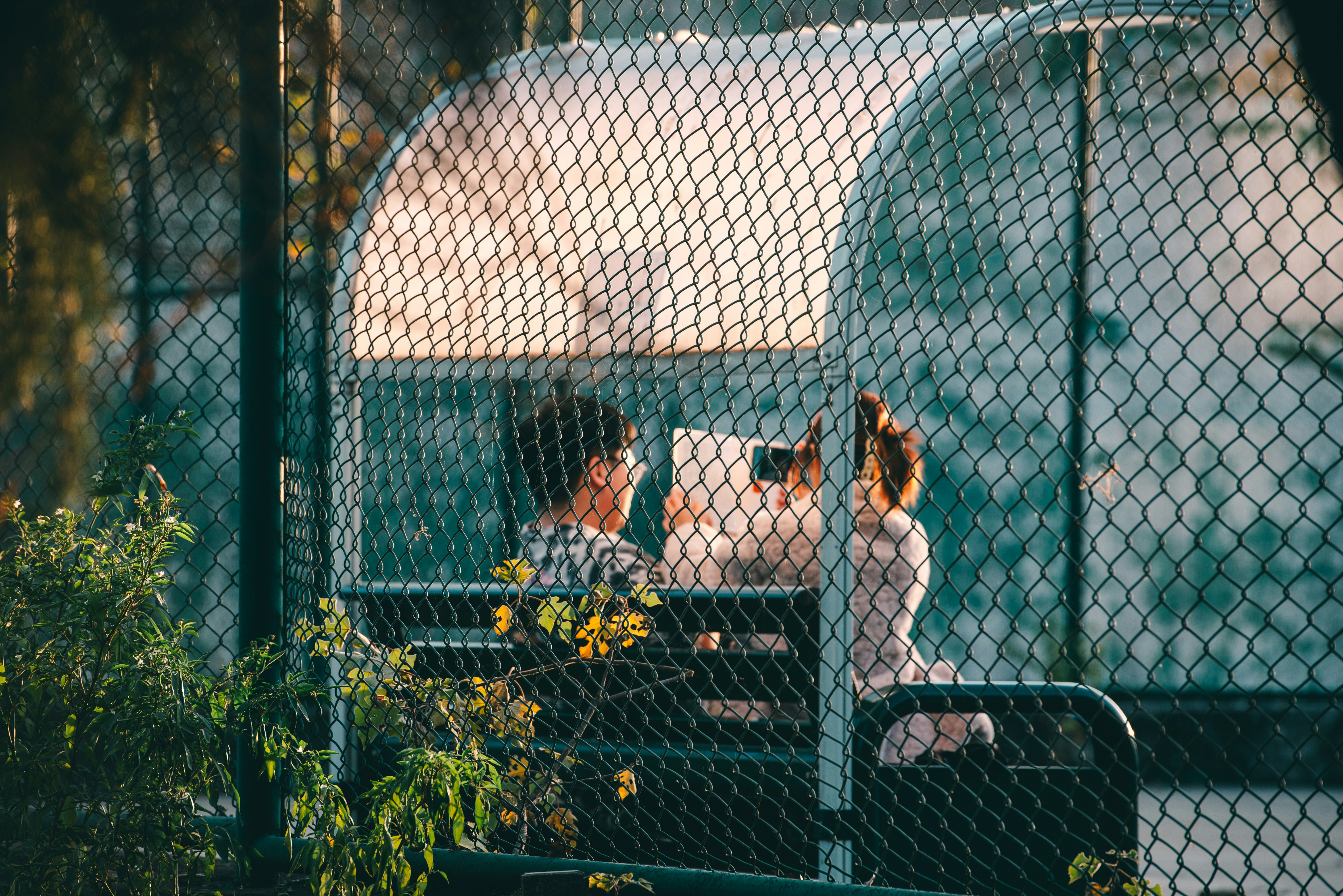 A parent and child engaged in a quiet reading session on a park bench, framed by a chain-link fence adorned with greenery.