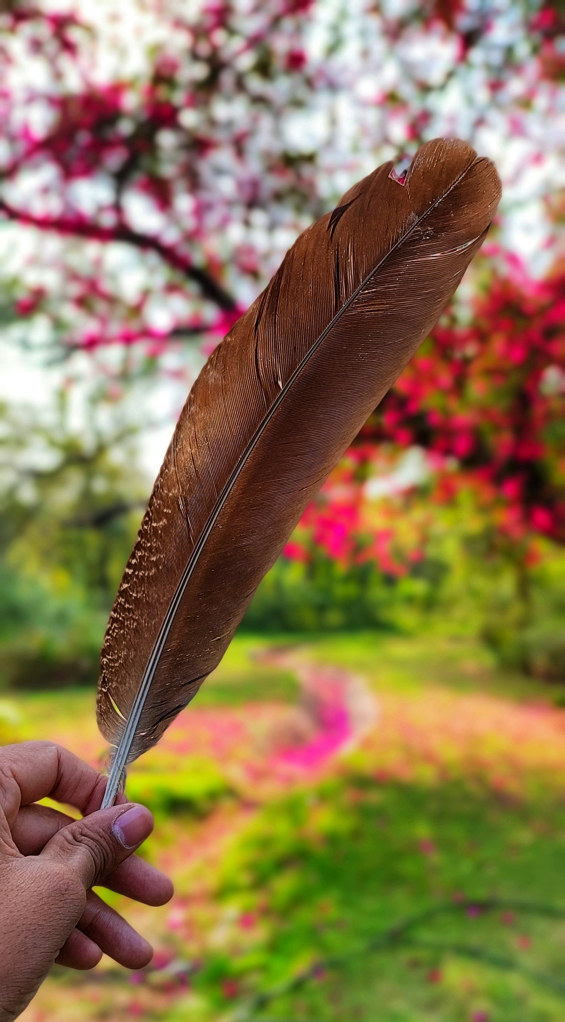 Close-up photograph of a brown feather held by fingers, with a softly blurred backdrop of pink blossoms and greenery.