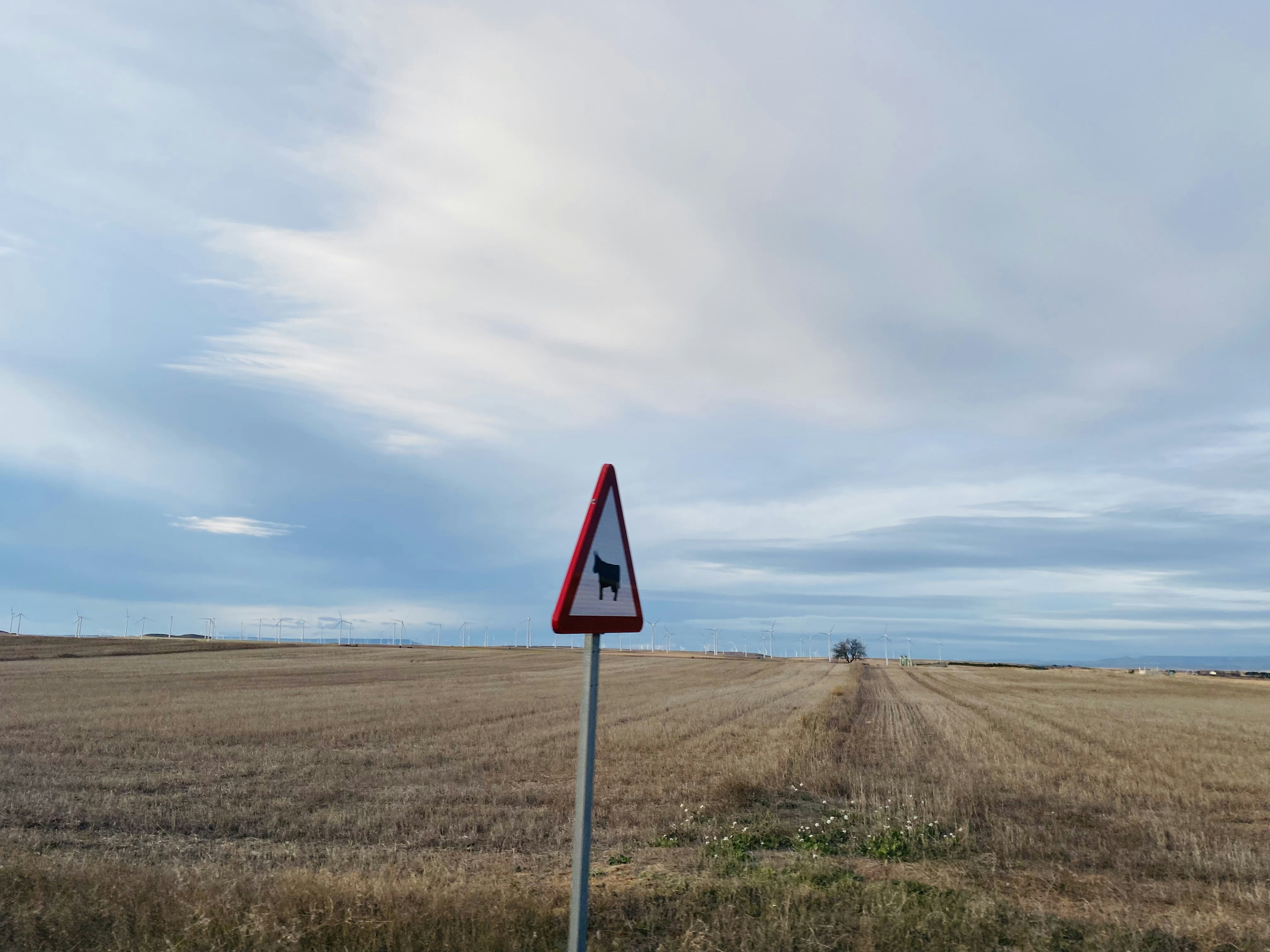 Lone roadside warning sign in a golden rural expanse