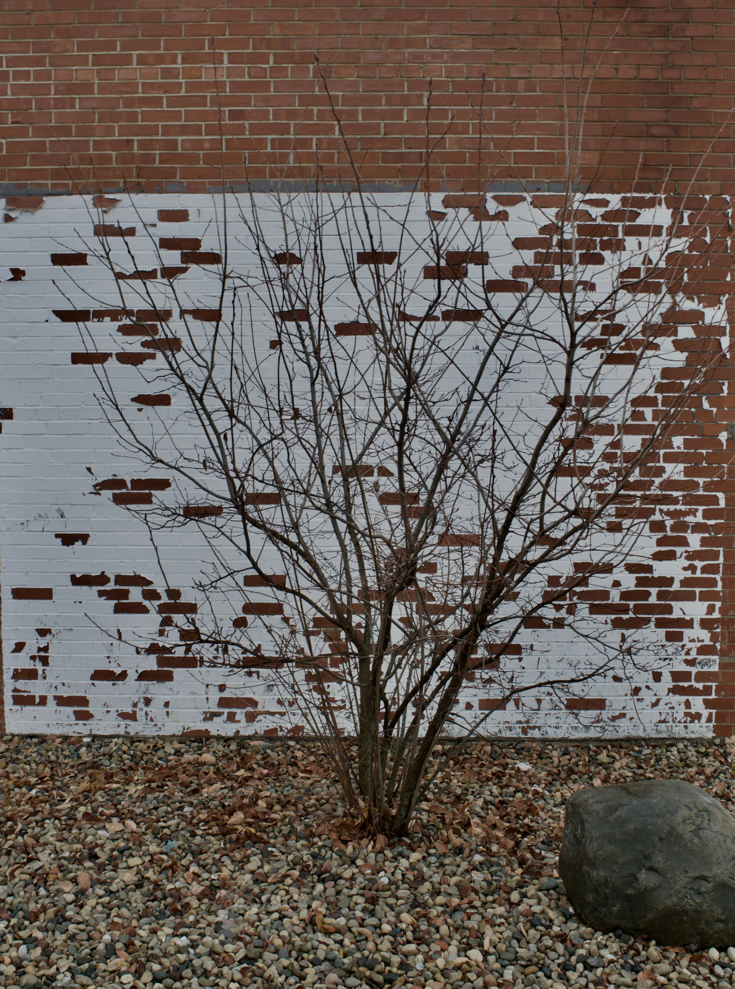 Brick wall paint 