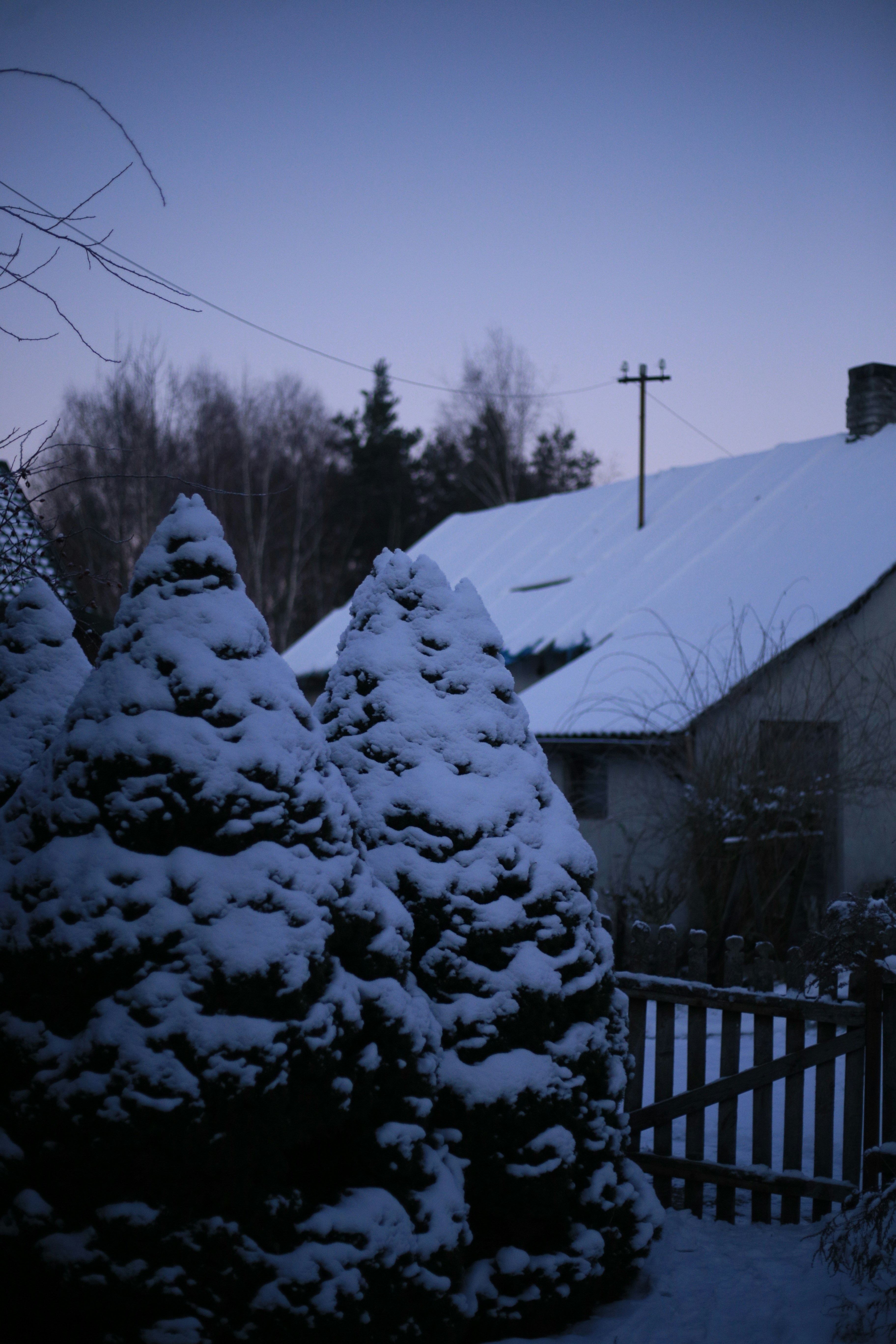 a snow covered tree in front of a house