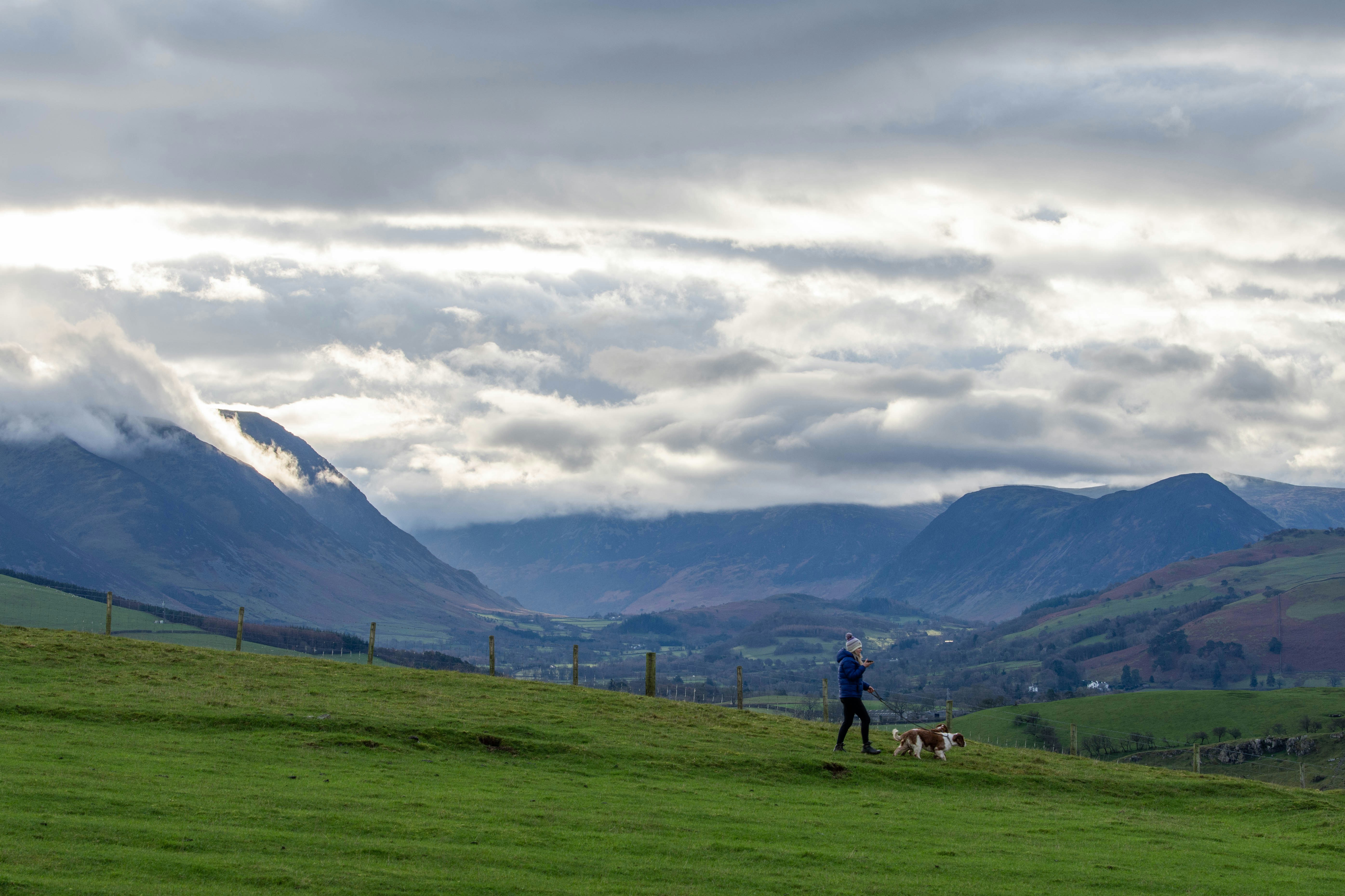 Ridge Run: A Lone Jogger and Dog Across a Verdant Valley
